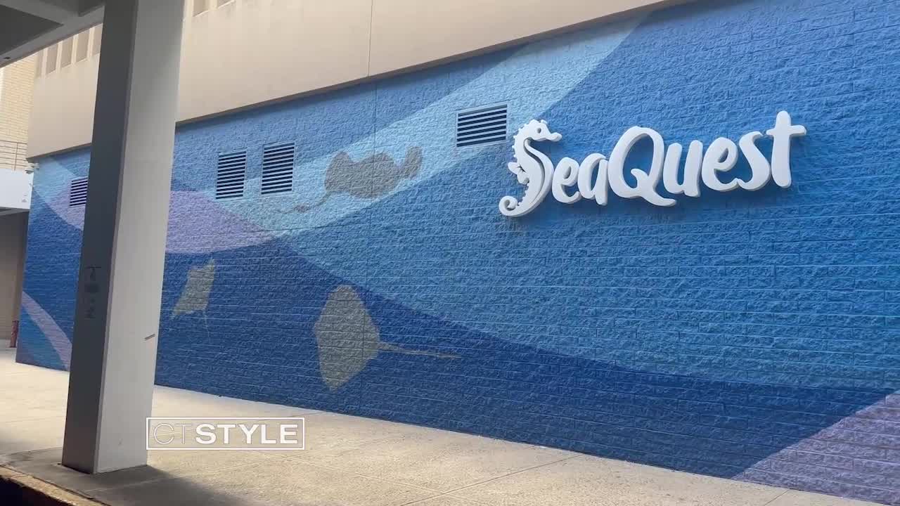 Interact with animals from around the world at SeaQuest – WTNH.com