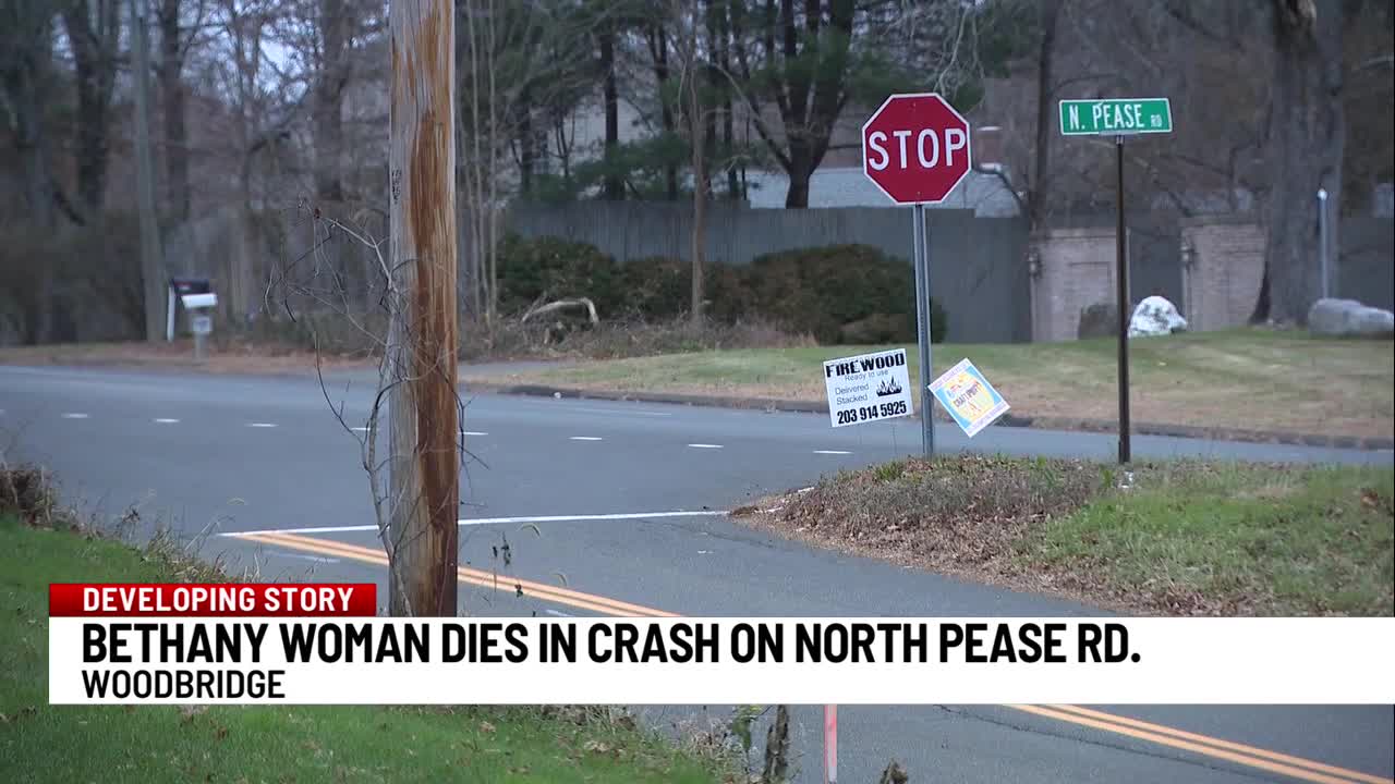 Bethany woman dead after vehicle hits tree in Woodbridge – WTNH.com
