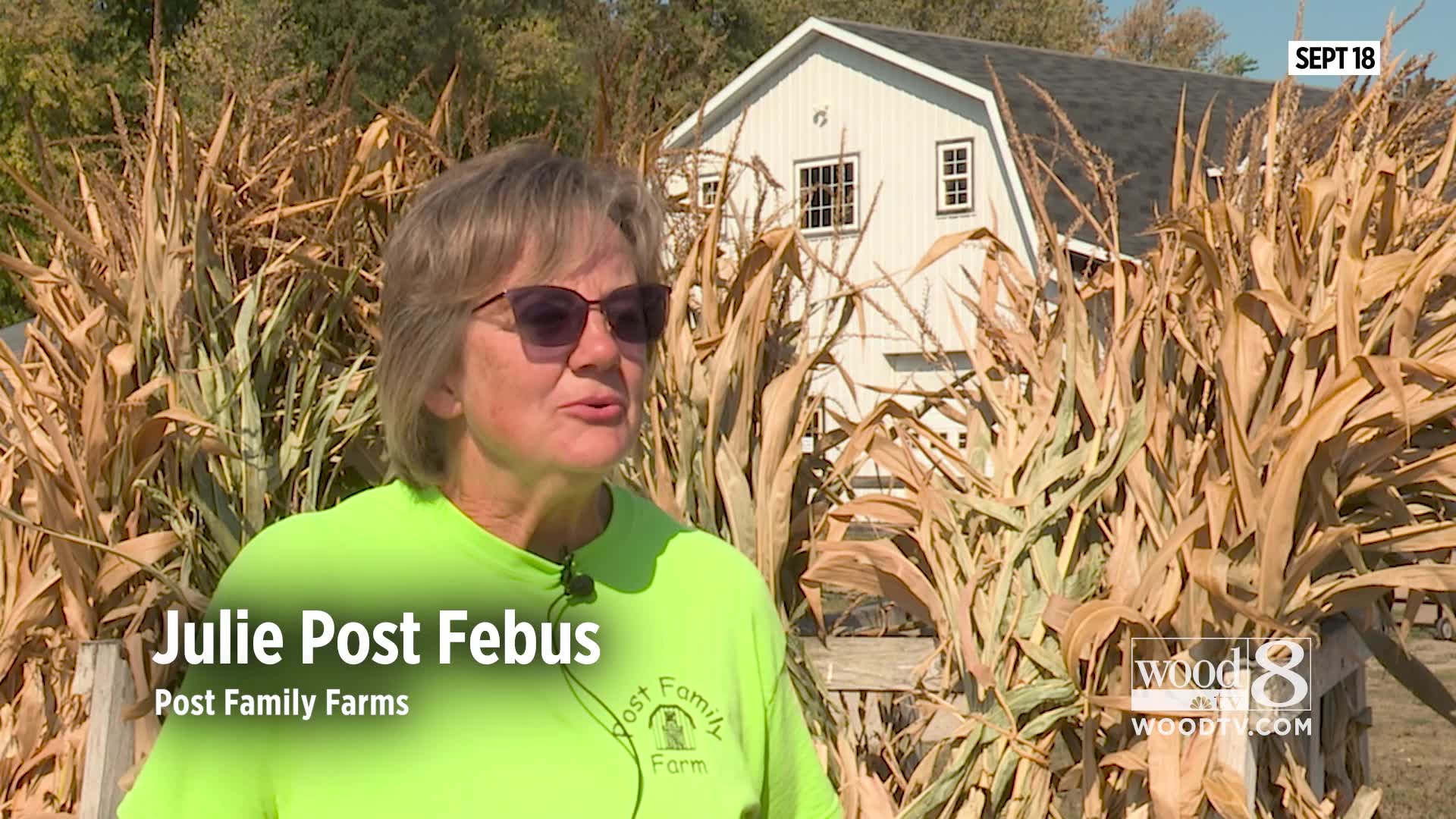 Warm temperatures causing issues for pumpkins patches and orchards ...
