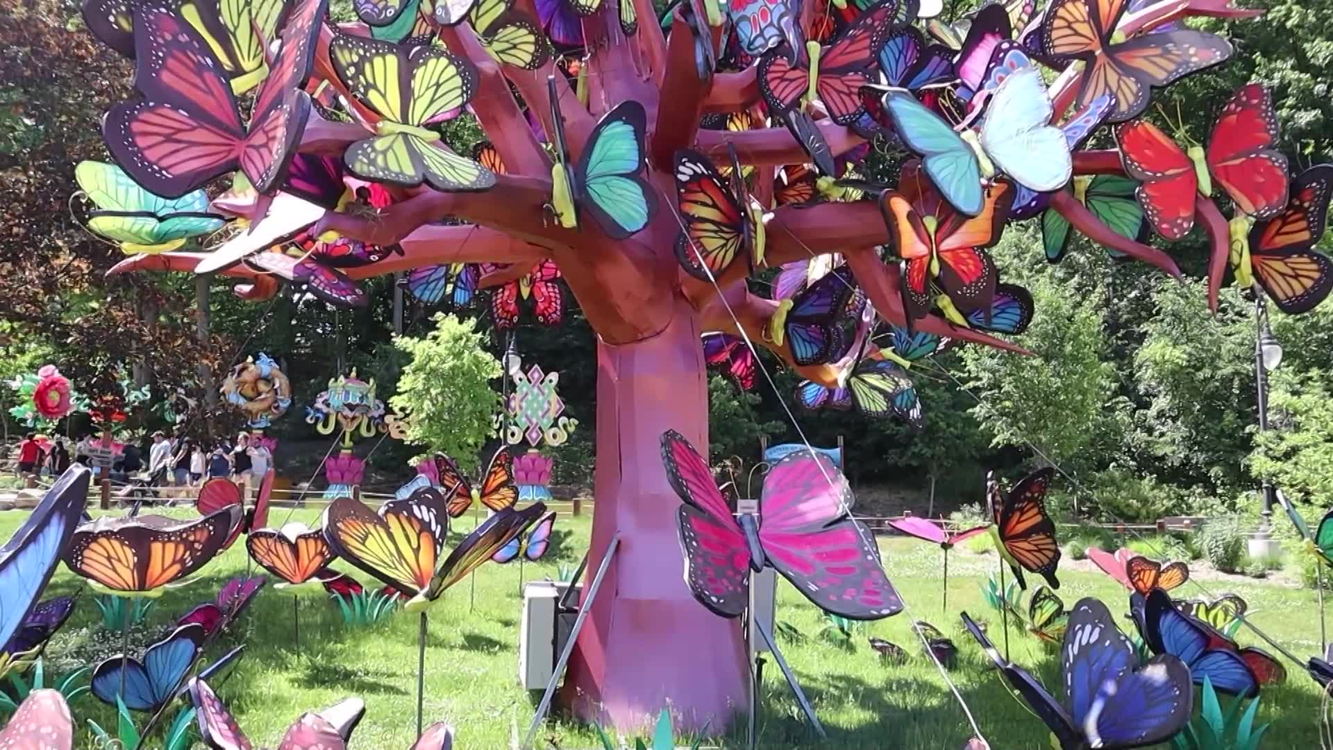 Maranda’s Weekend Fun Guide: May 31-June 1 – WOODTV.com