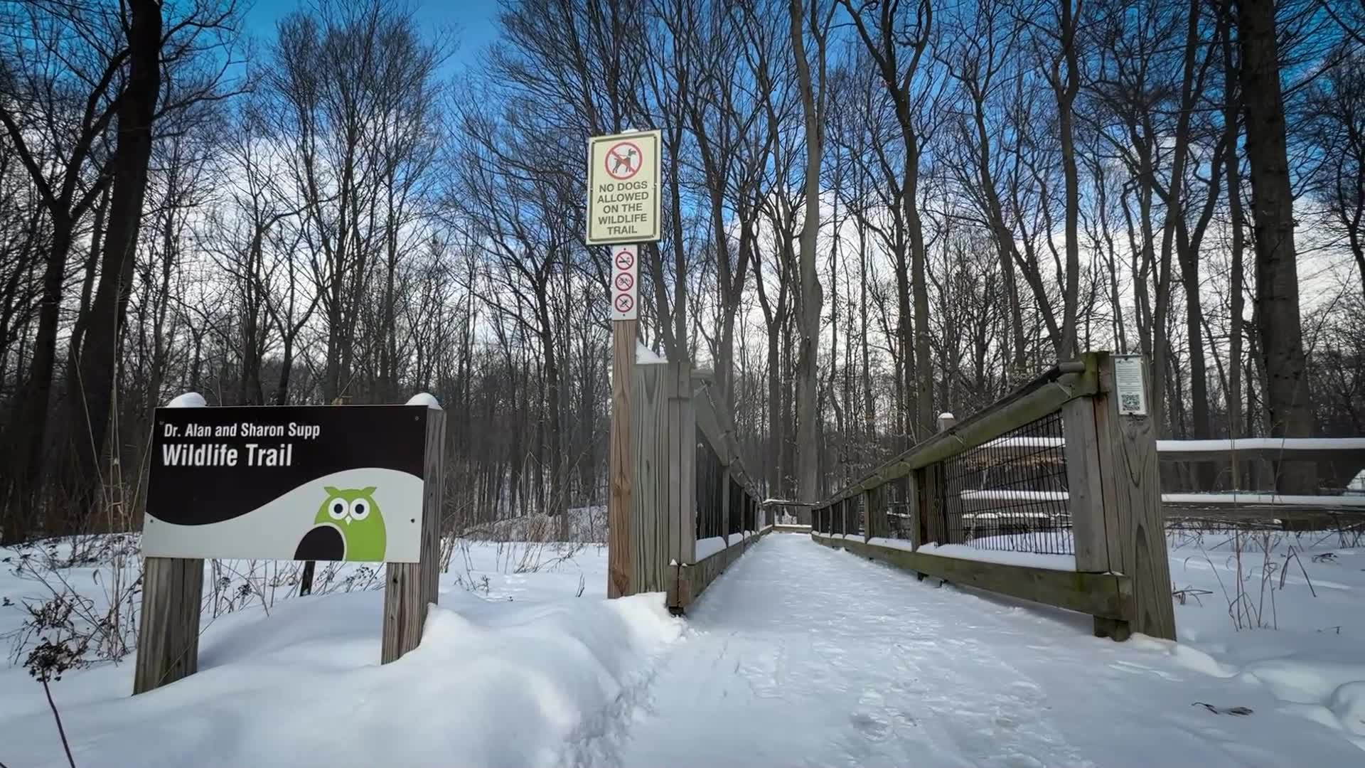 Maranda’s Weekend Fun Guide: February 21-23 – WOODTV.com