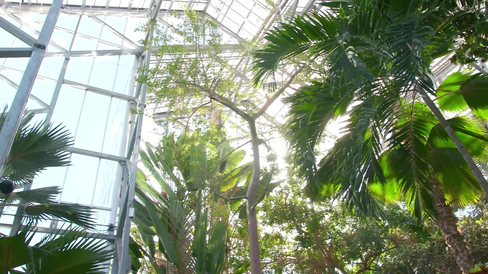 Maranda Weekend Fun Guide 3/17 – WOODTV.com