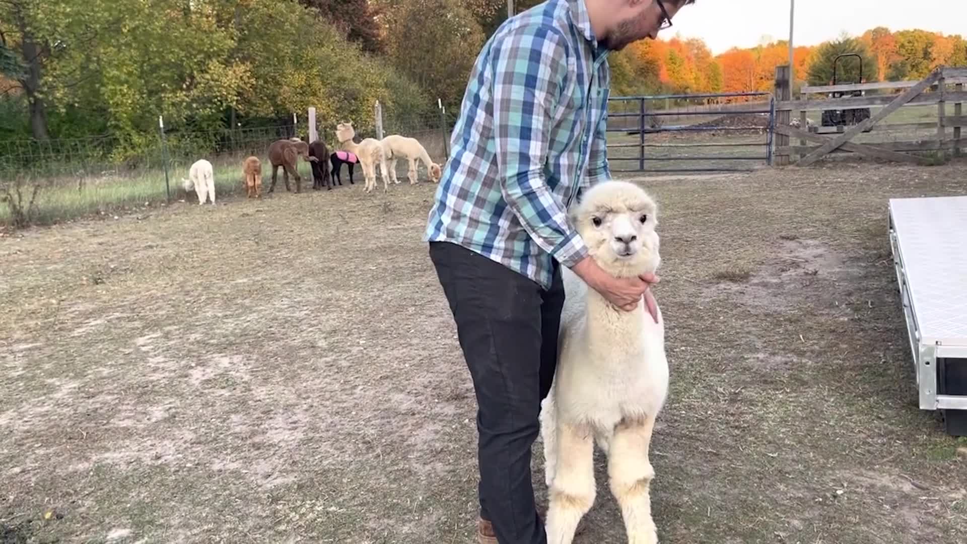 Maranda Weekend Fun Guide 4-14 – WOODTV.com