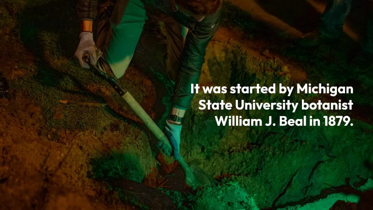 What is the Beal Seed Experiment? – WOODTV.com