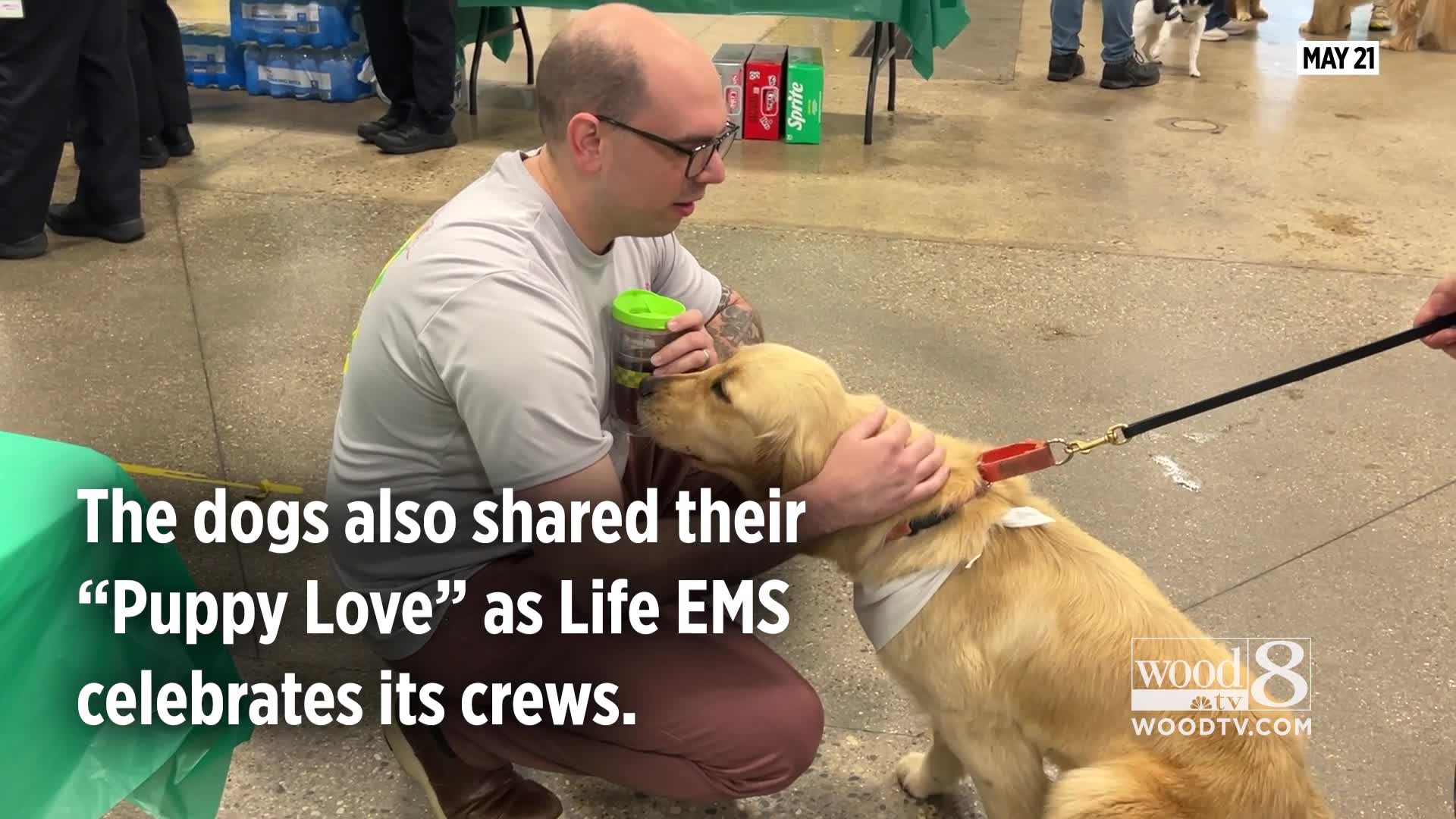 Assistance dogs share ‘Puppy Love’ at Life EMS – WOODTV.com