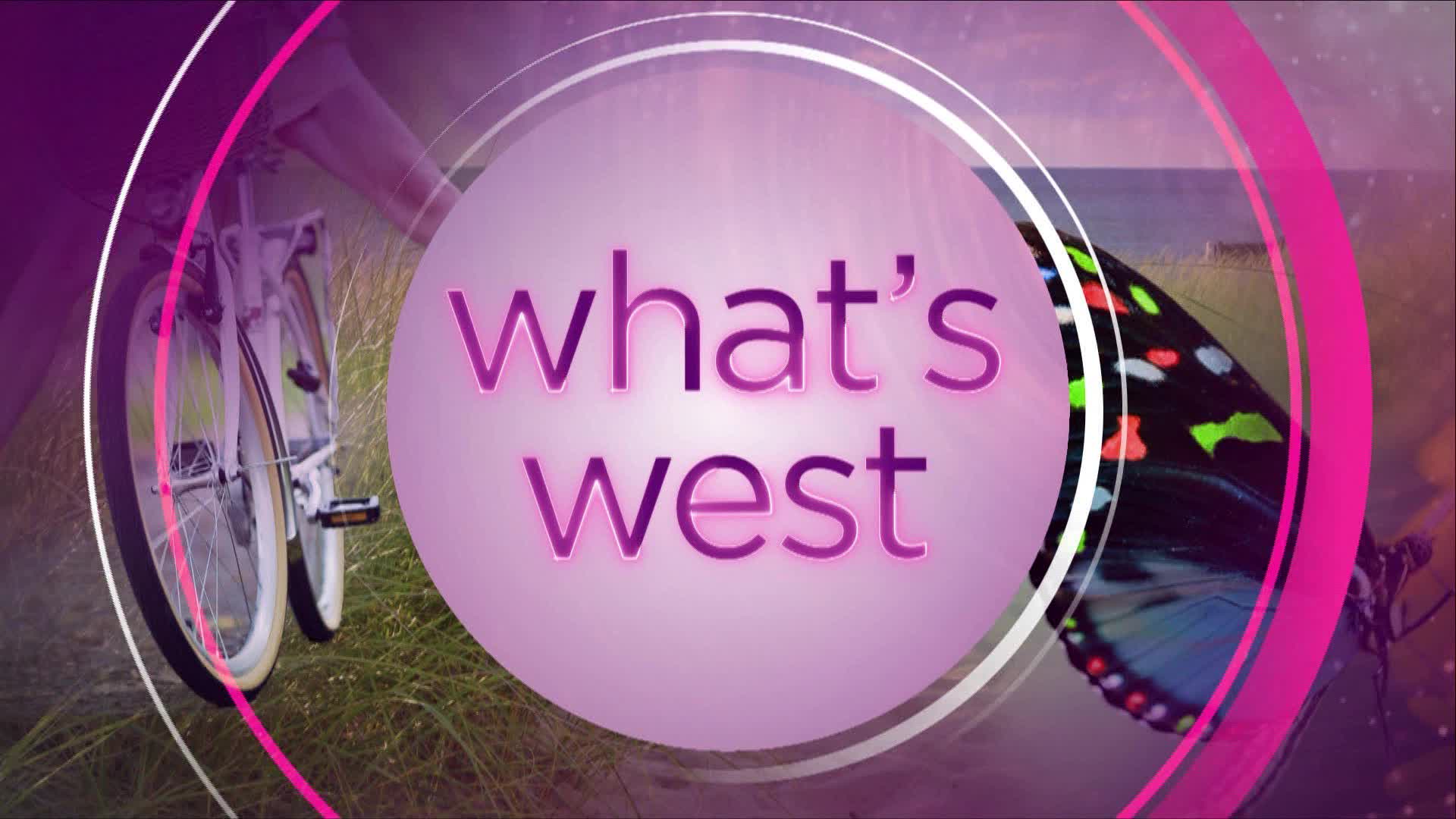 Allegan County Fair fun kicks off Friday – WOODTV.com