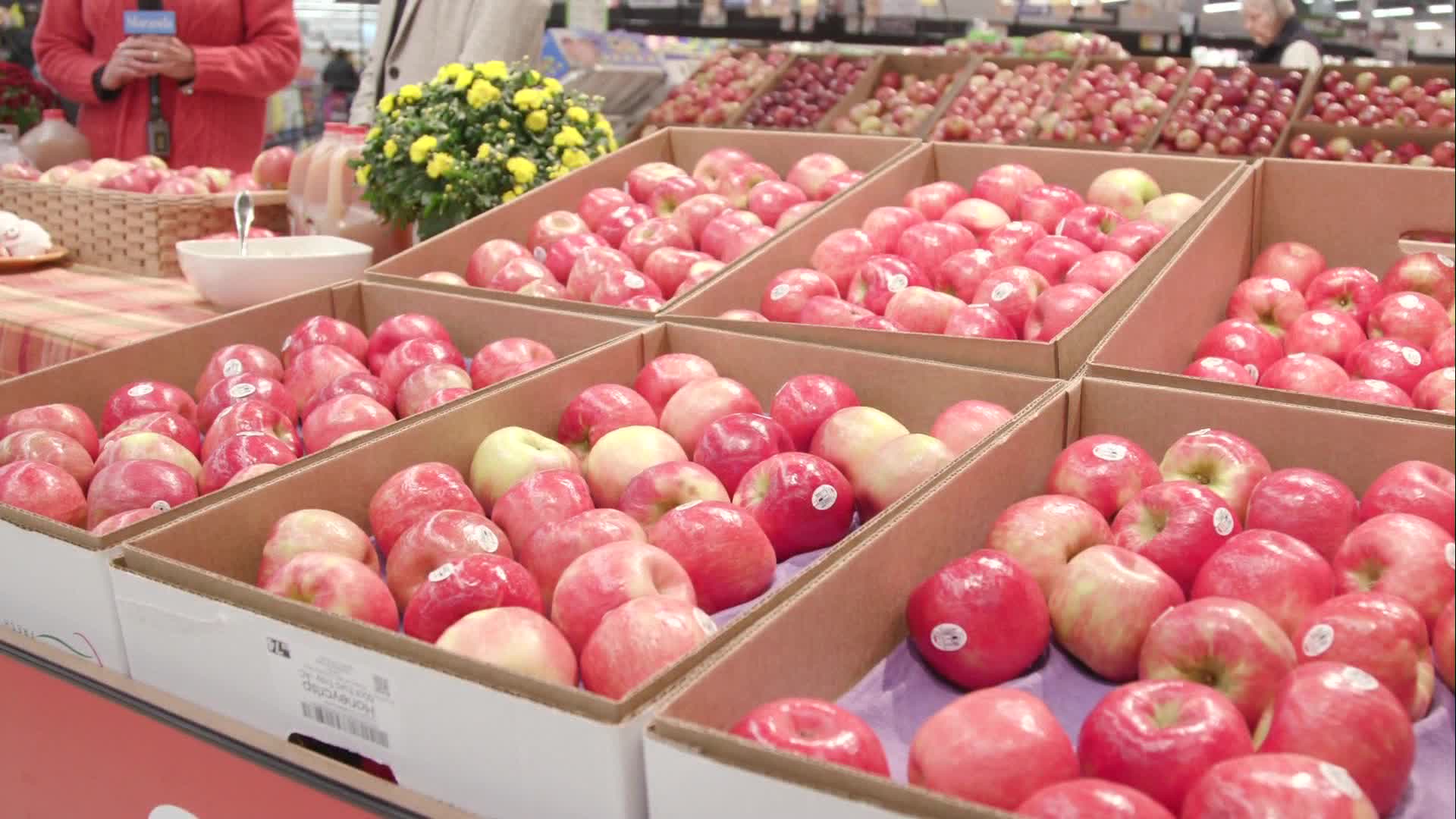 Maranda Meijer Apple Segment – WOODTV.com