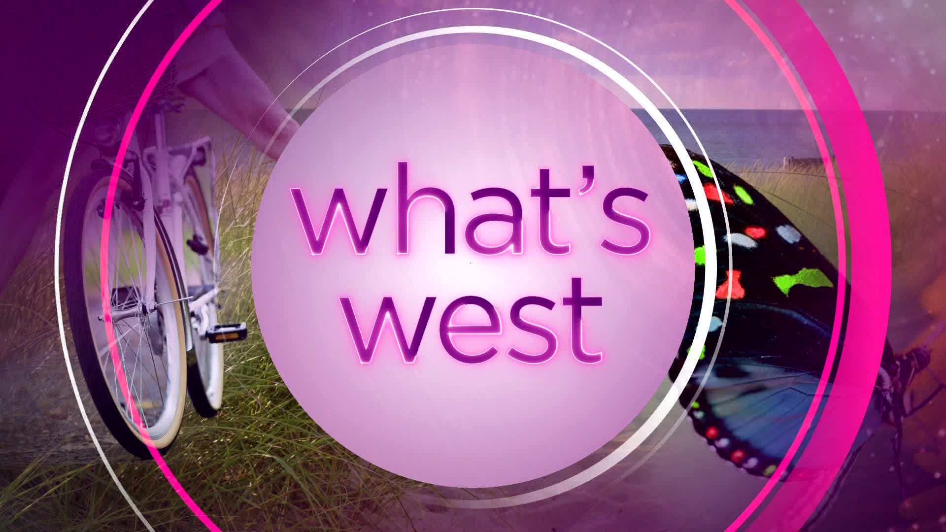 See amazing chalk art and so much more at the Lakeshore Arts Festival ...