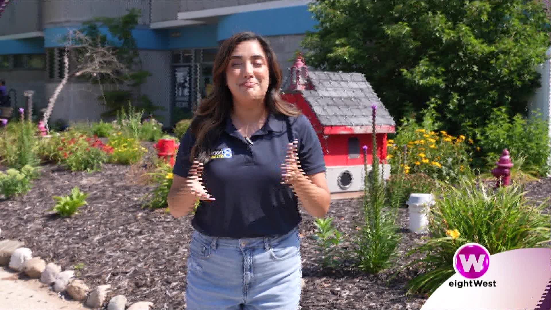 Harbor Humane Society Clears the Shelter – WOODTV.com
