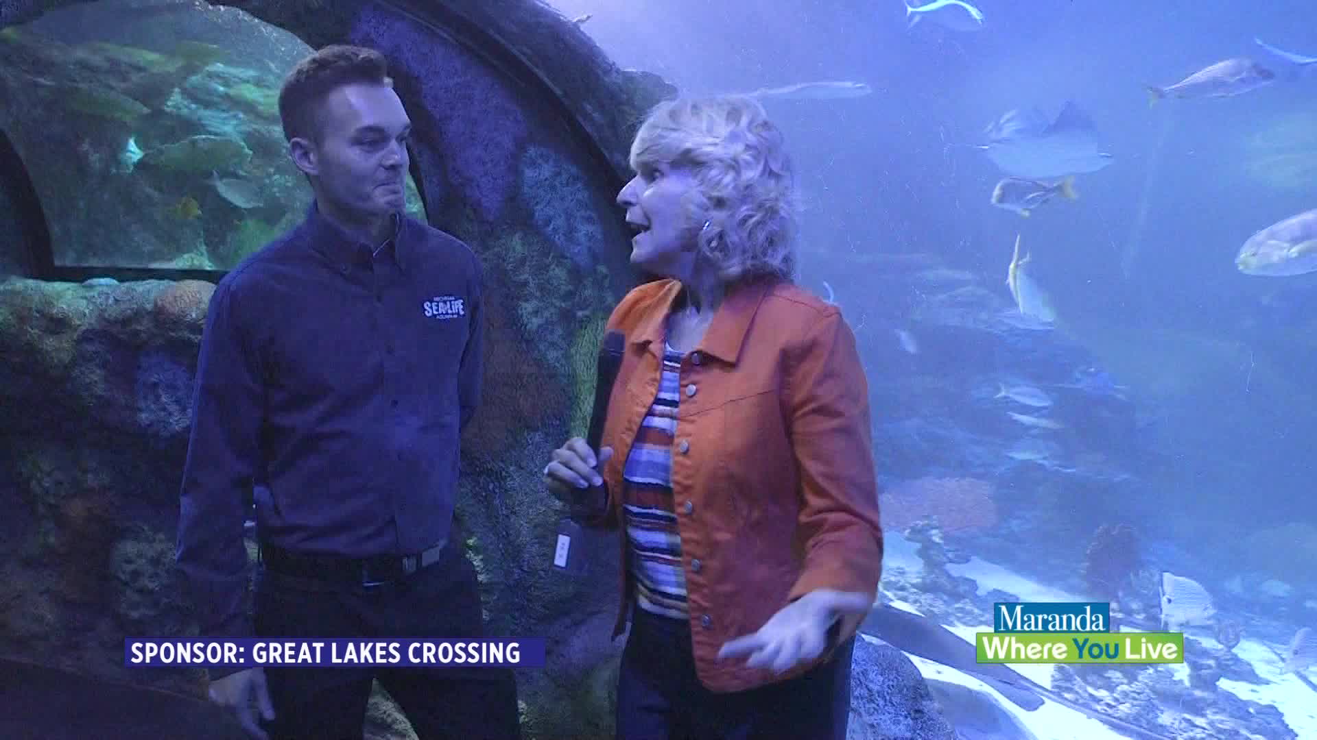 Maranda Great Lakes Crossing Sea Life Teacher Appreciation – WOODTV.com