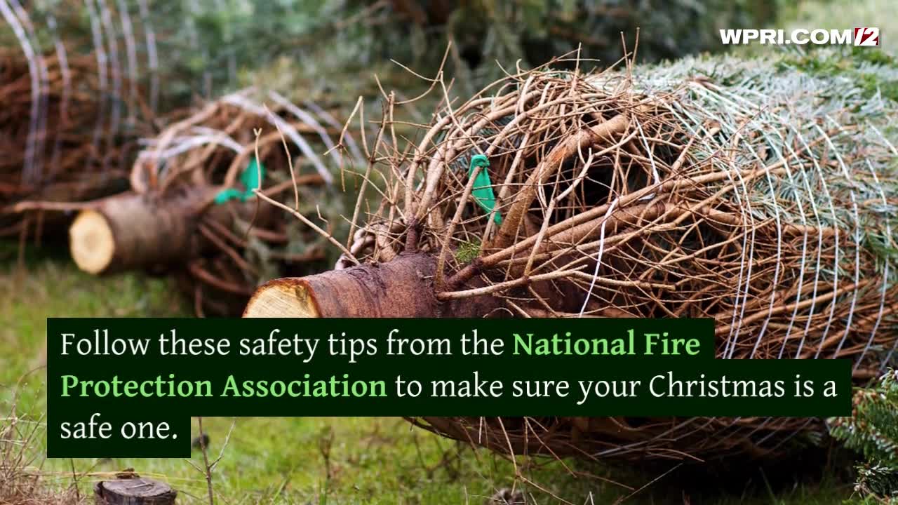 Christmas tree safety tips – WPRI.com