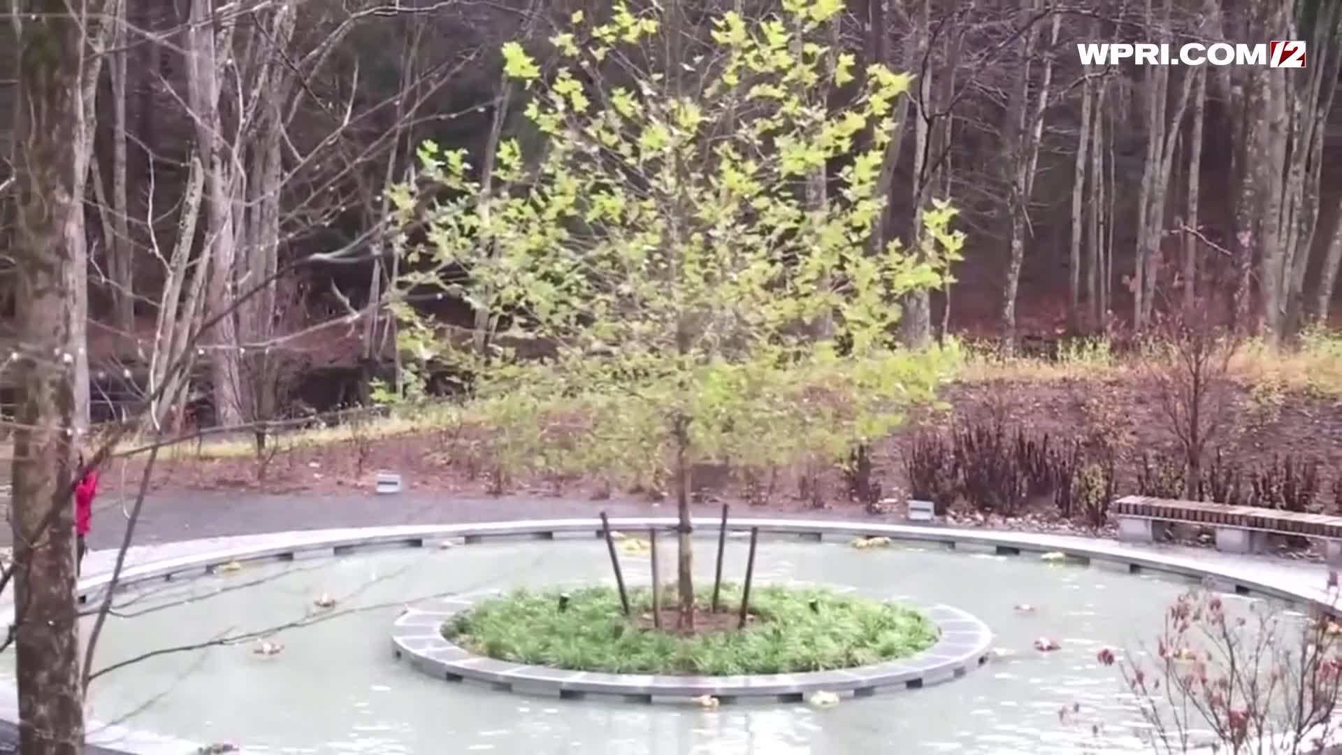 VIDEO NOW: Memorial built for 10 year anniversary of Sandy Hook – WPRI.com