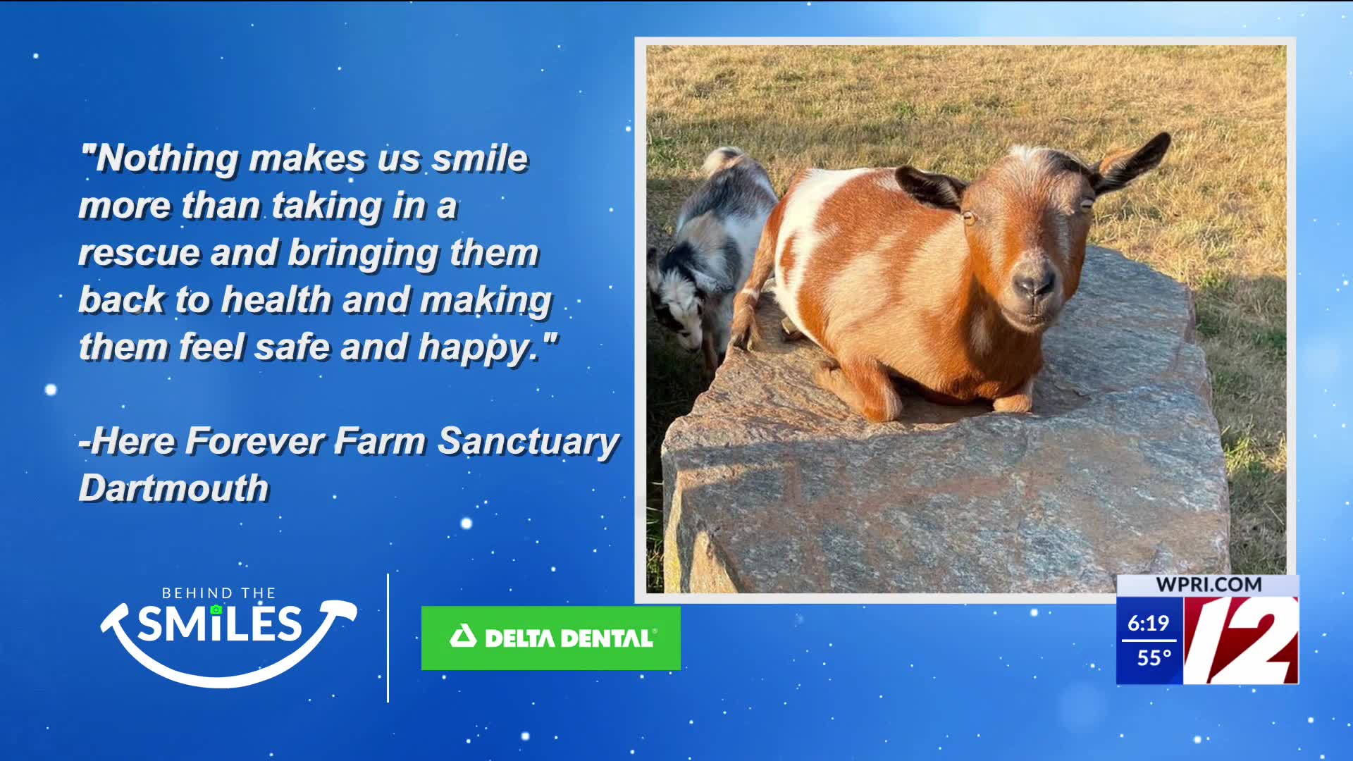 Behind the Smiles Photo for 9/3/25 from Here Forever Farm Sanctuary in ...