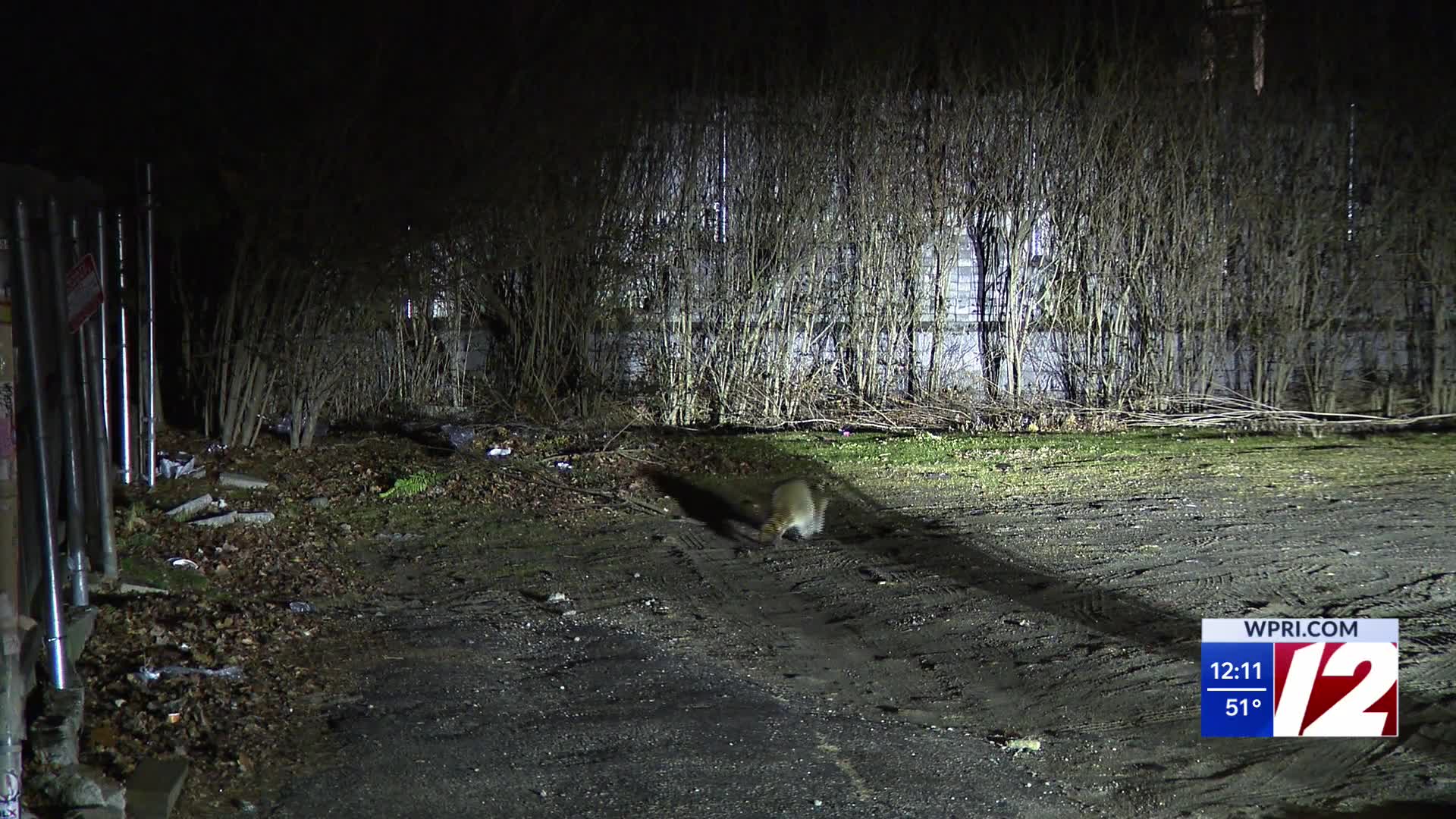 Former site of Duck and Bunny sold to developer – WPRI.com