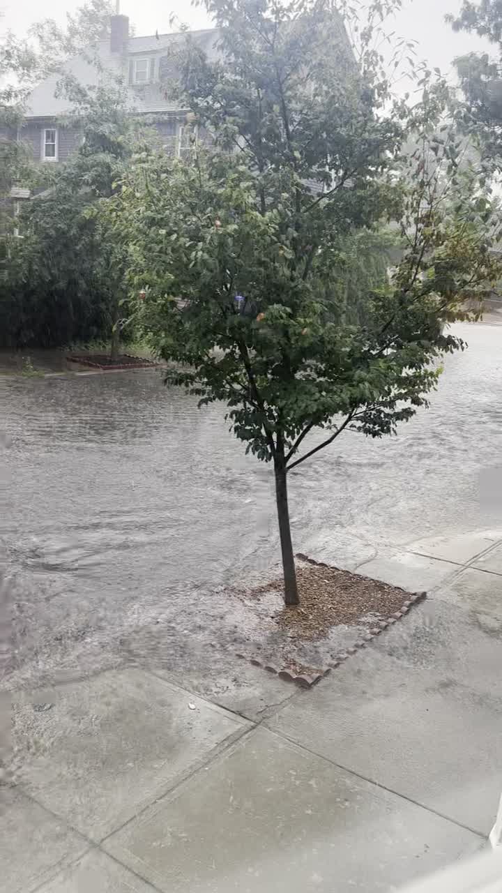Hamilton St. Flooding – WPRI.com