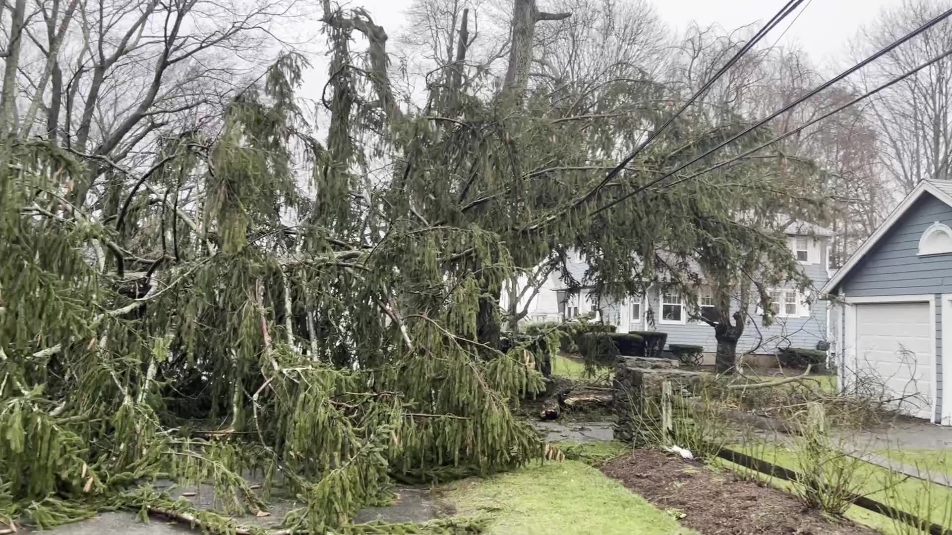 Video Now: Tree down in Bristol – WPRI.com