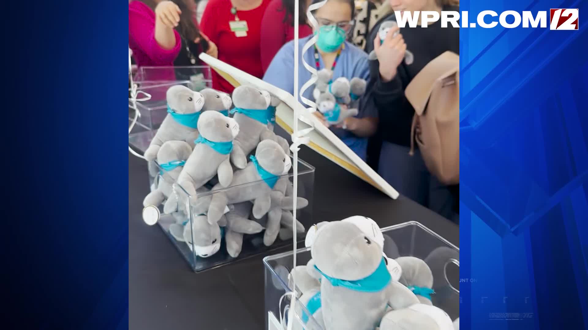 VIDEO NOW: Hasbro Children’s Hospital unveils new mascot for 30th ...