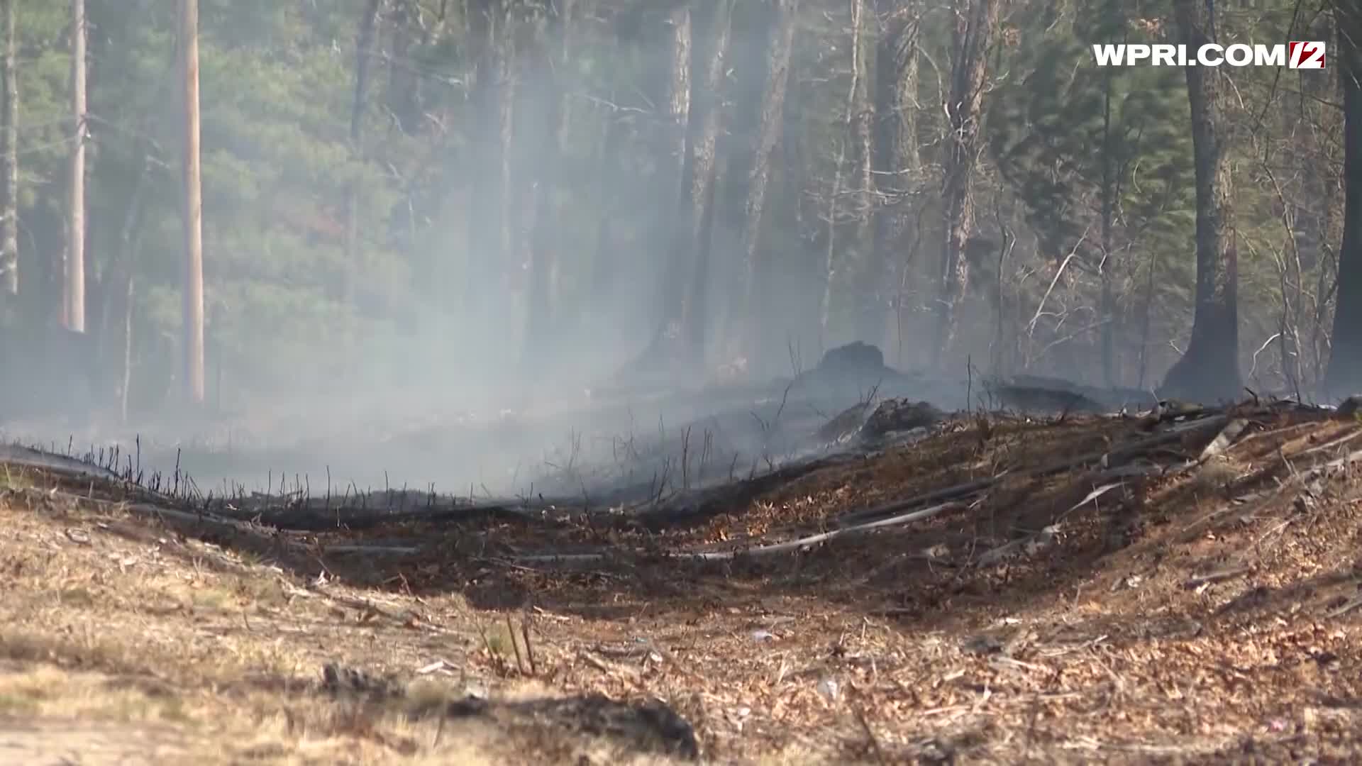 VIDEO NOW: Brush fire breaks out in West Greenwich woods – WPRI.com