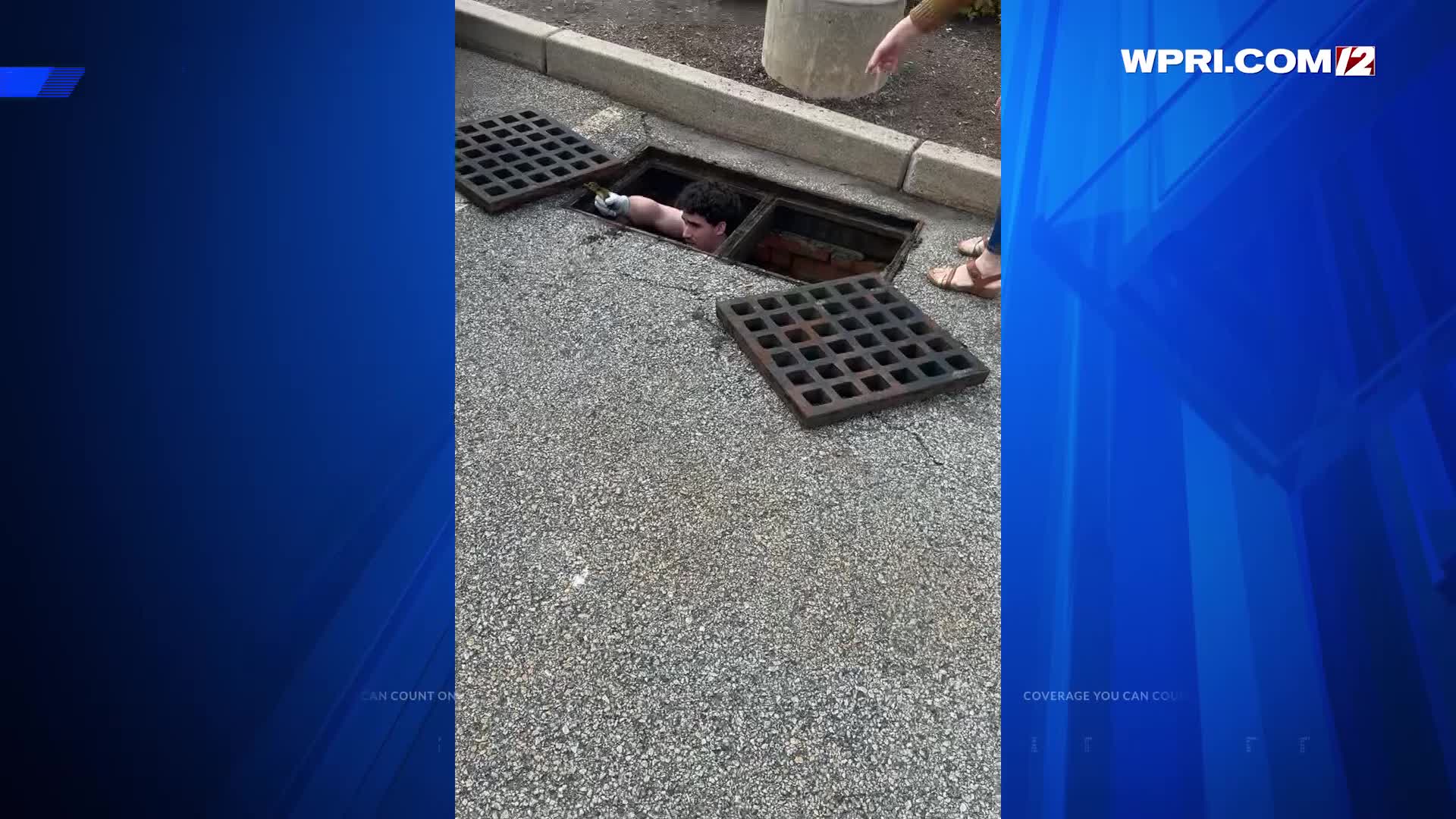 Video Now: Ducklings rescued from storm drain – WPRI.com