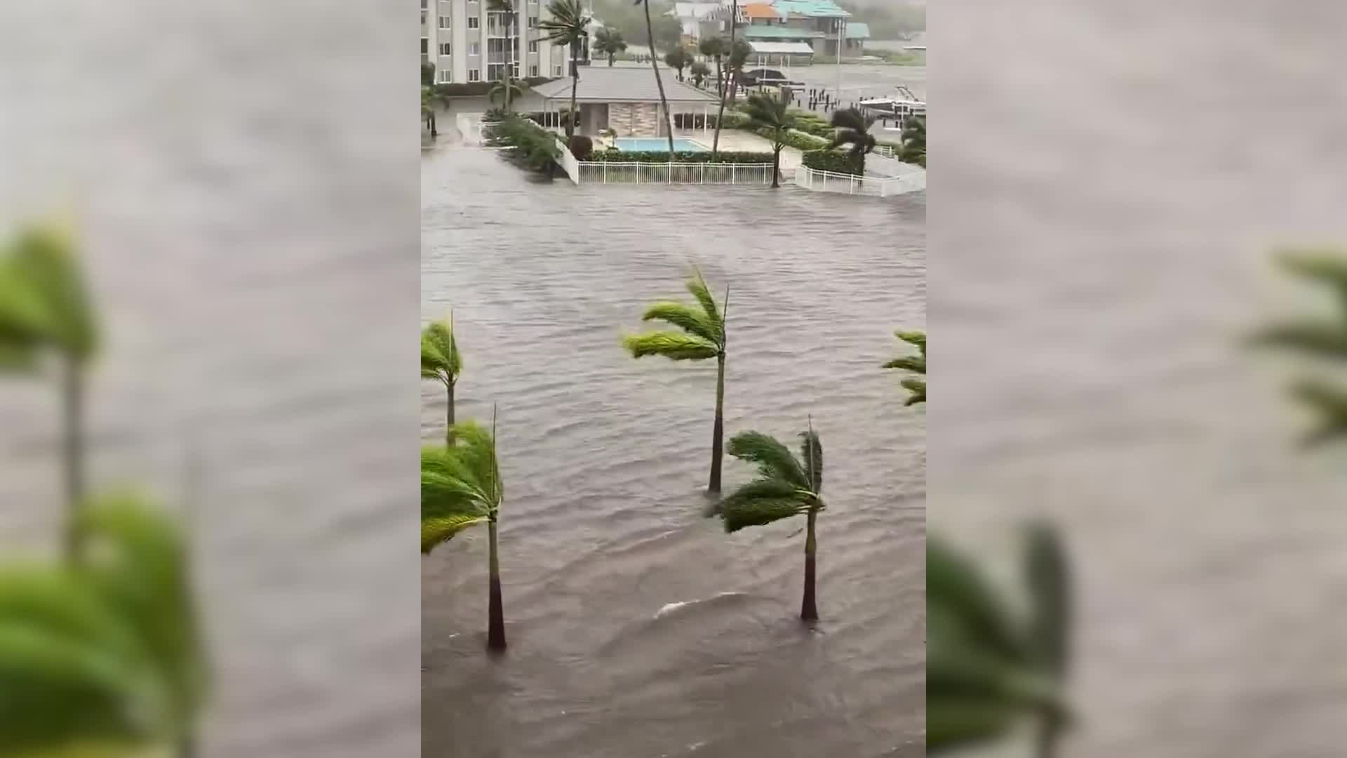 Flooding in Naples, Florida – WRIC ABC 8News
