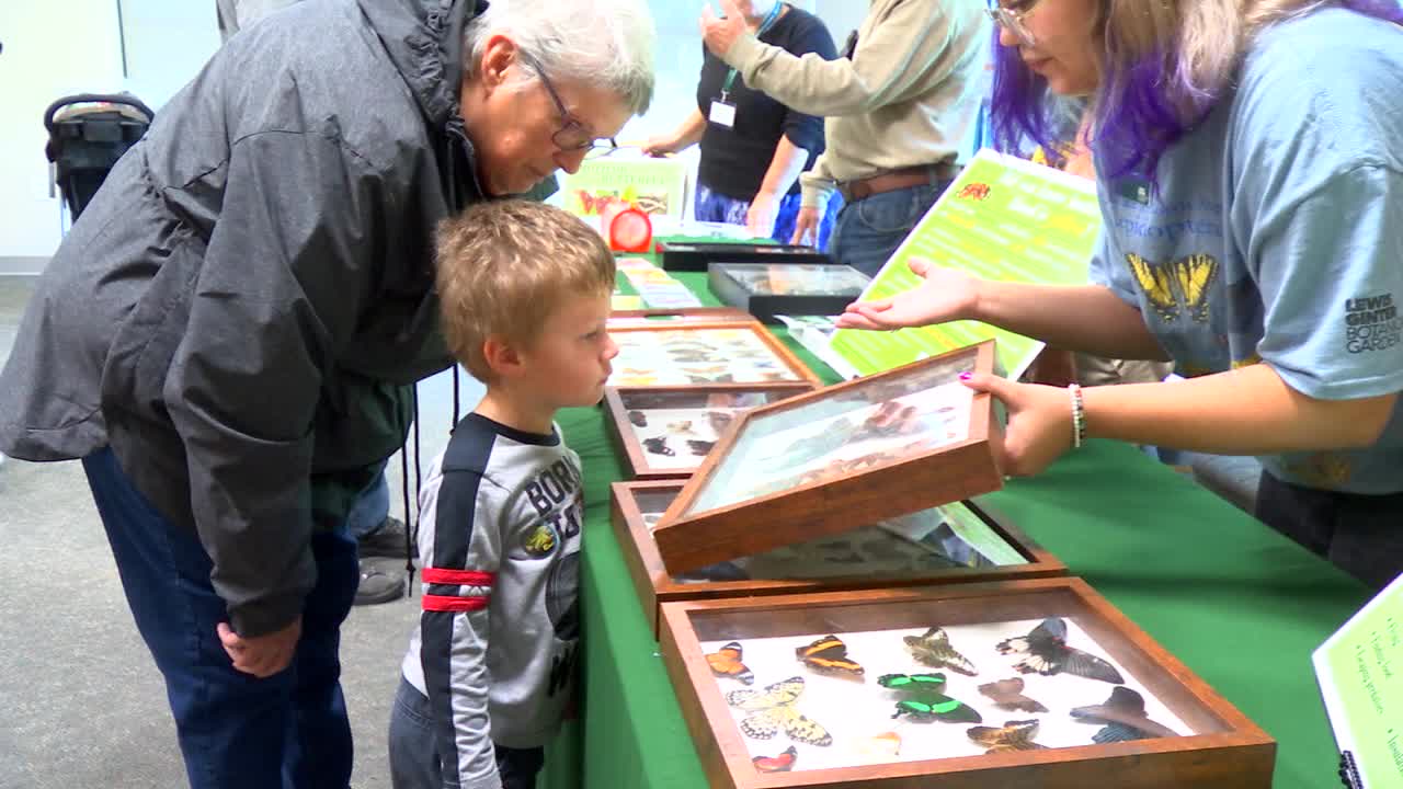 Hissing roaches, bess beetles, spiders and more at Henrico ‘Bug Bizarre ...