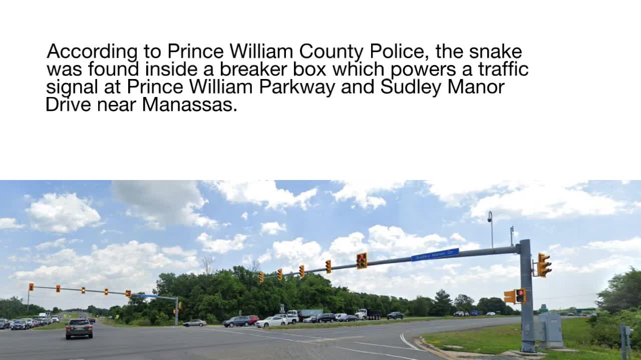 Large snake makes home inside traffic signal breaker box, causes power ...