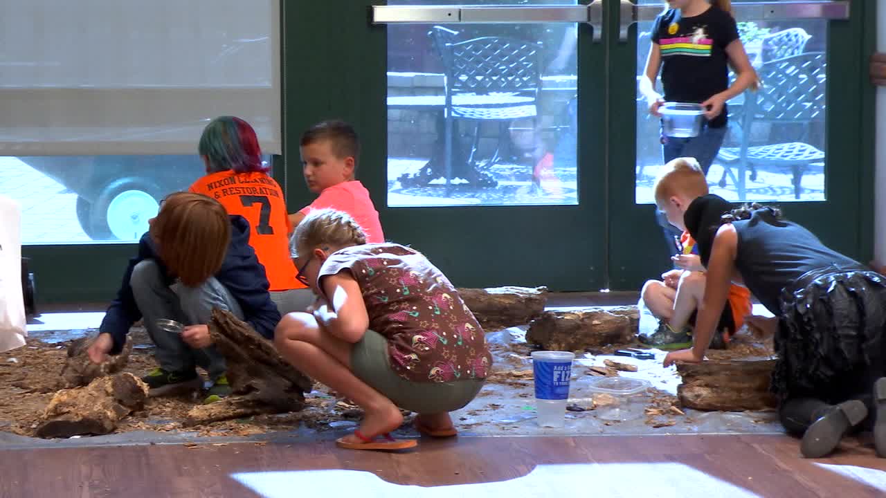 SOUND: Hissing roaches, bess beetles, spiders and more at Henrico ‘Bug ...