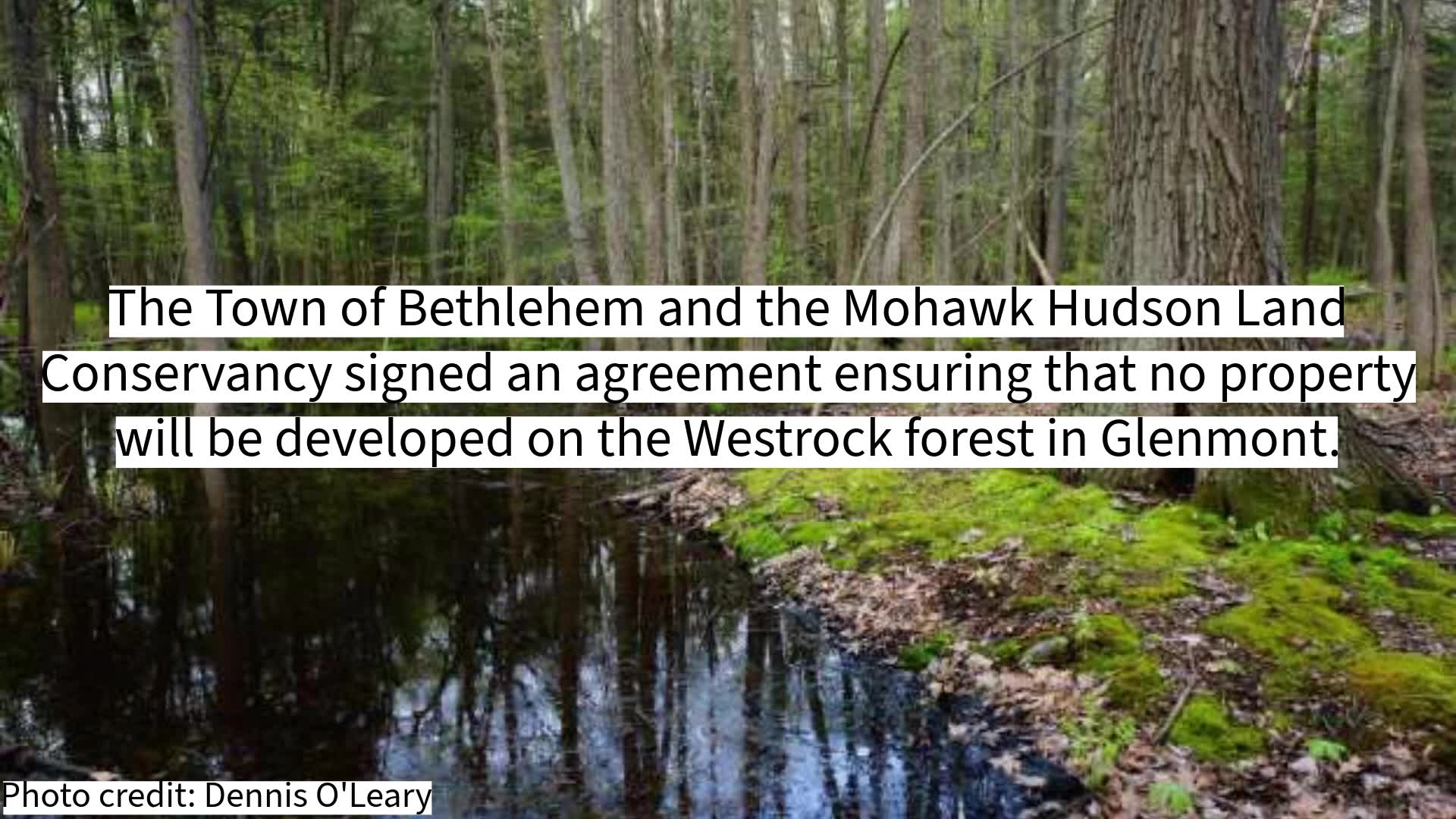 66 acres of land in Glenmont to be protected forever – NEWS10 ABC