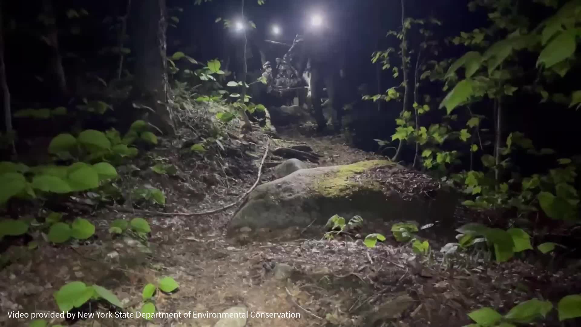 DEC forest rangers rescue injured hiker – NEWS10 ABC