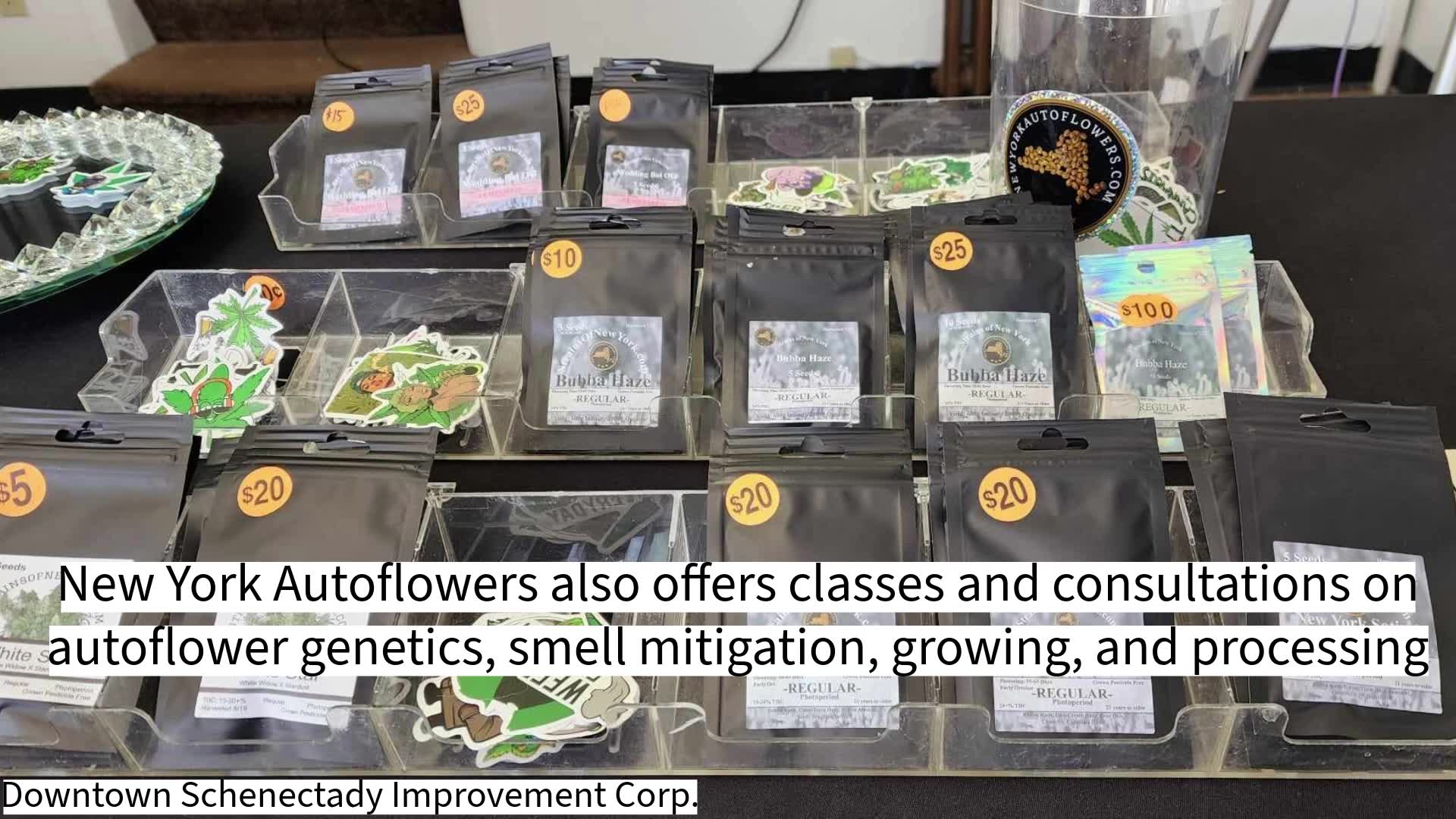 Cannabis seed shop celebrates grand opening in Schenectady – NEWS10 ABC