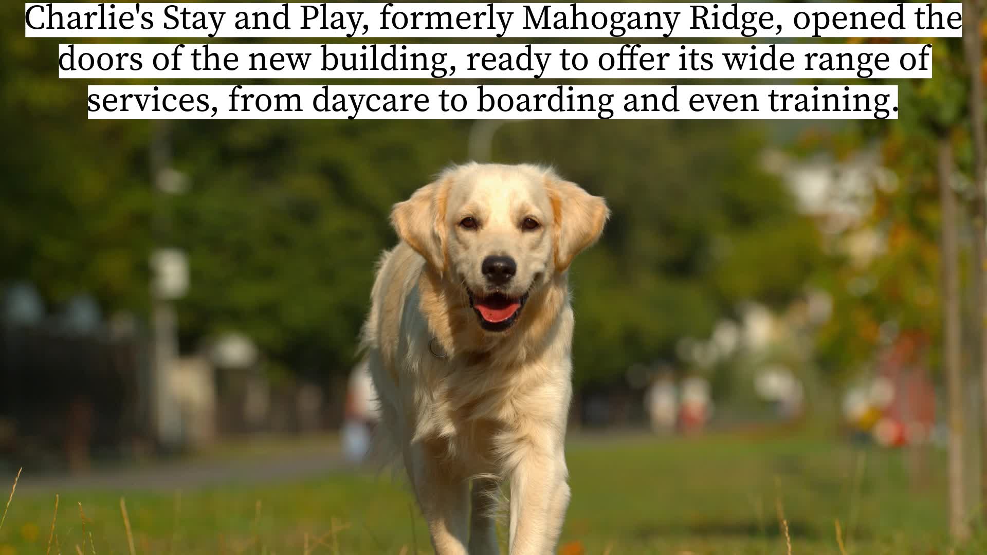 Malta dog care facility opens new building on Route 9 – NEWS10 ABC