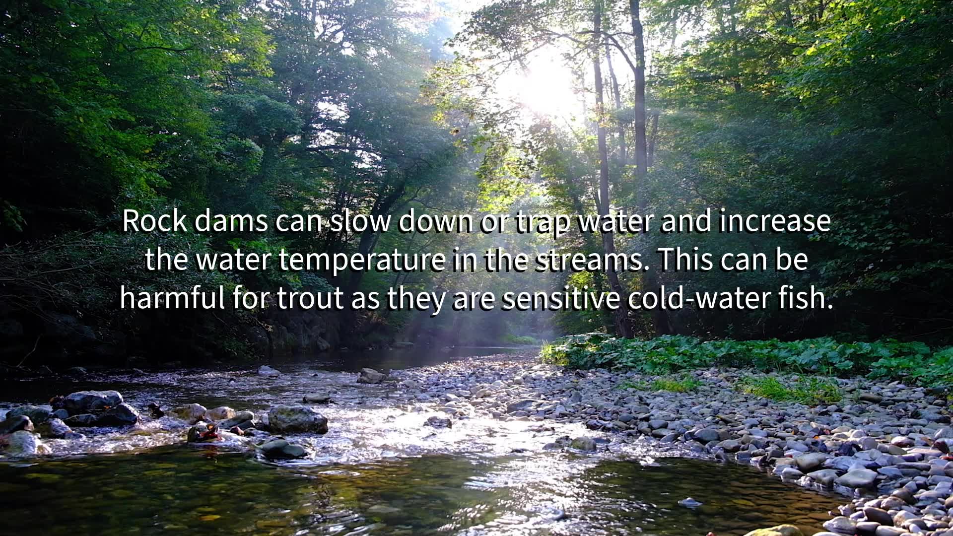 DEC warns against building rock dams on trout streams – NEWS10 ABC