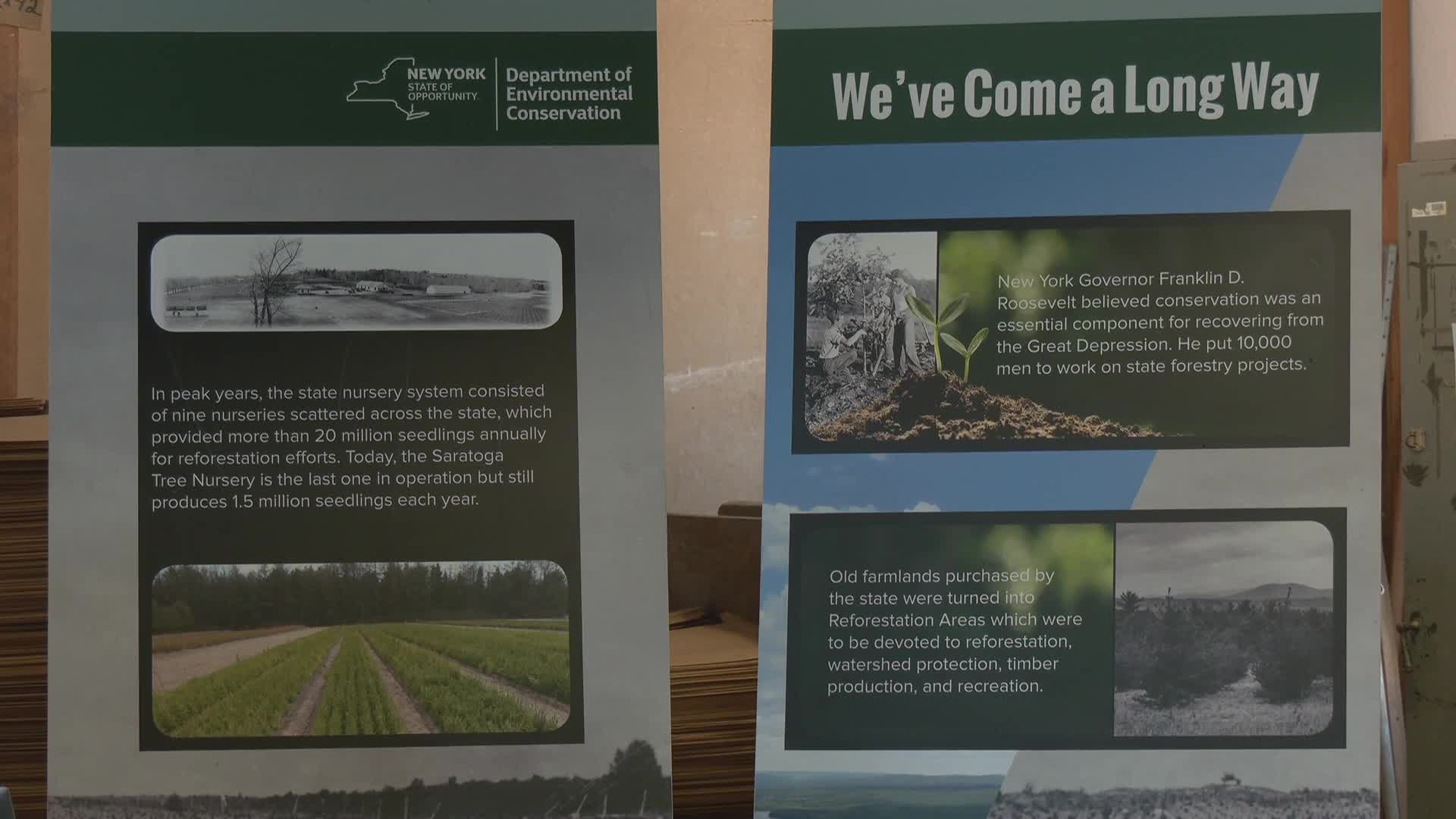 NYS launches new tree tracking tools for 25 Million Trees initiative ...