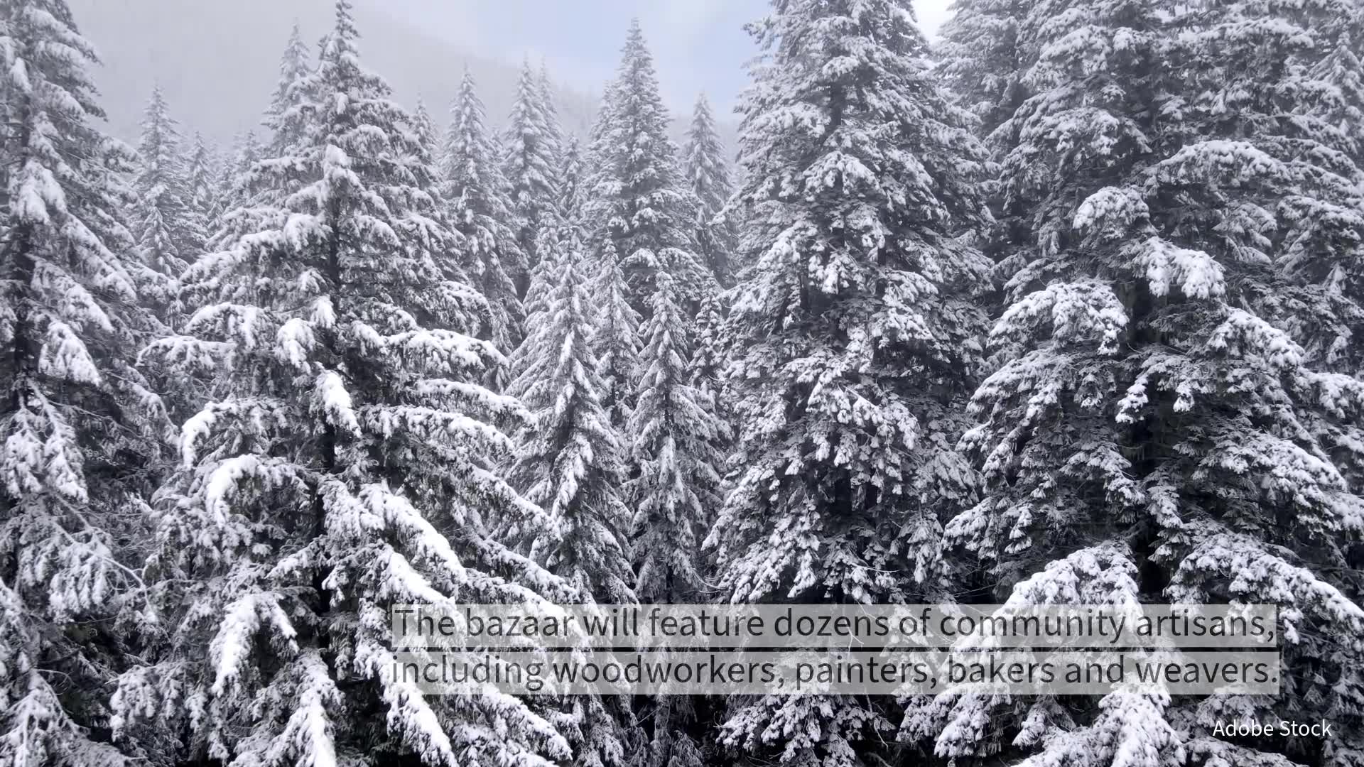 Winter Bazaar returns to Thacher Park – NEWS10 ABC