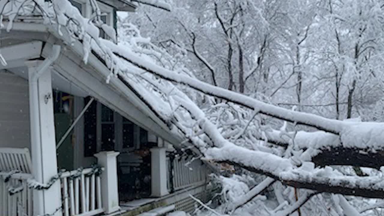 Tree crushes porch on Averill Park home during storm – NEWS10 ABC