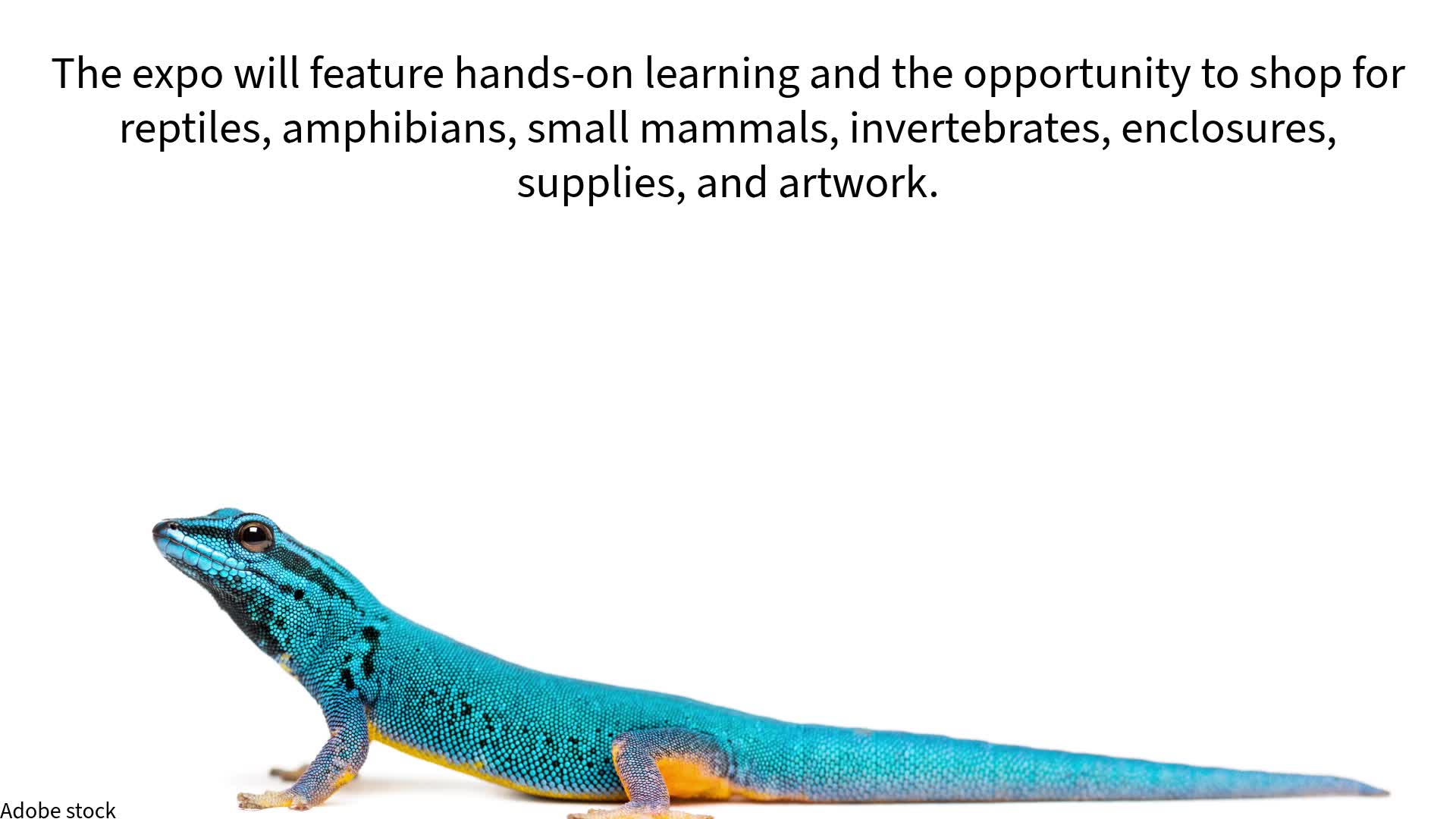 Capital District Reptile Expo to return to Albany Capital Center ...