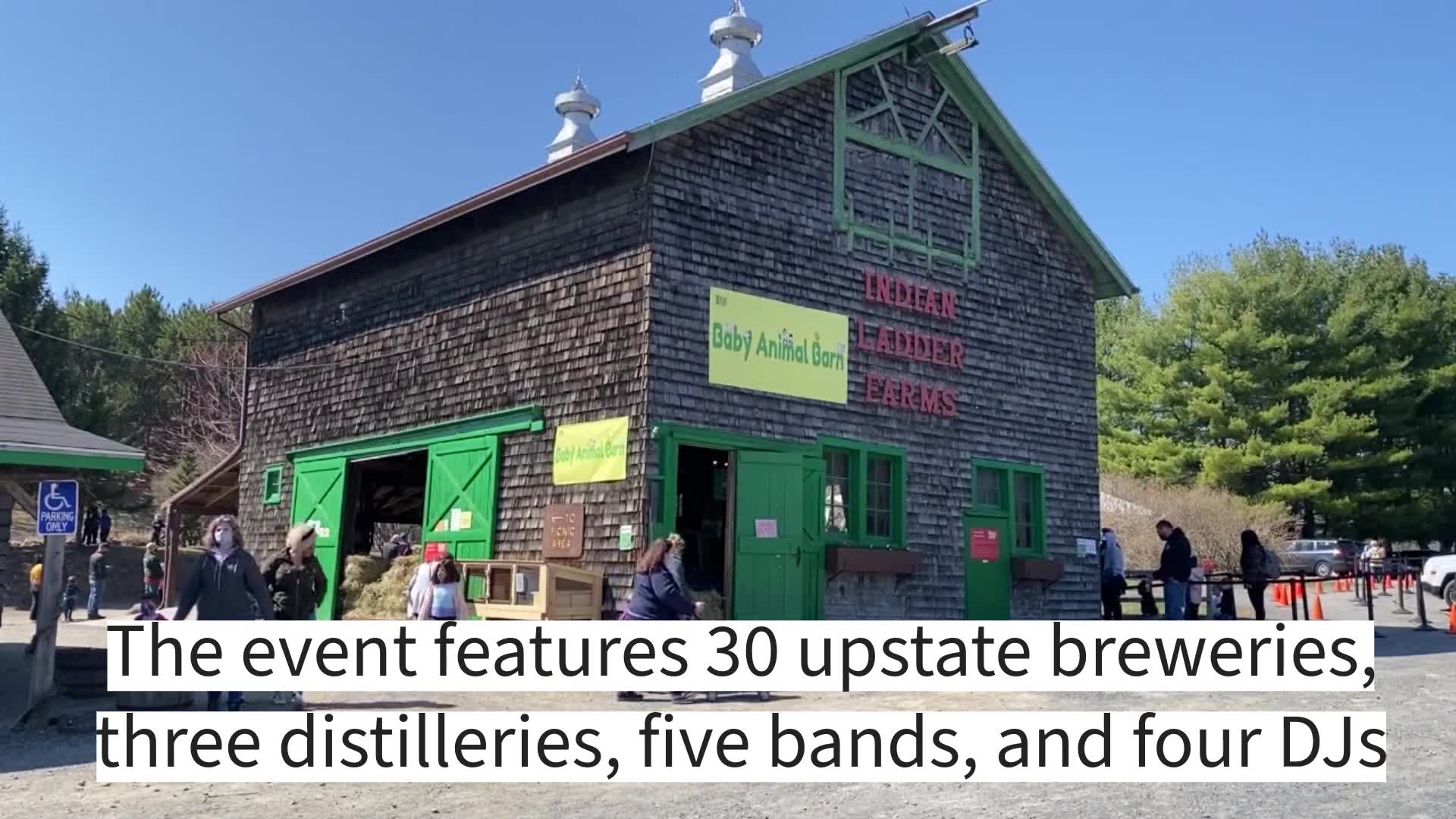 Farming Man Fest returning to Indian Ladder Farms – NEWS10 ABC