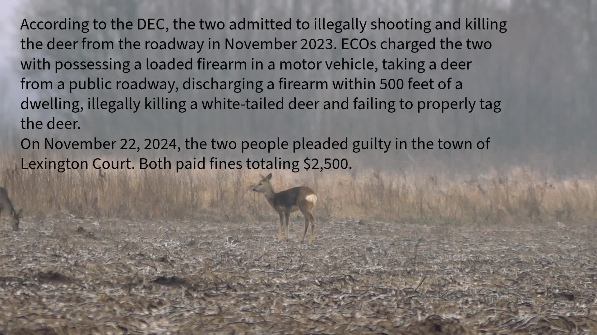 Year-long poaching investigation in Lexington ends with two guilty pleas – NEWS10 ABC