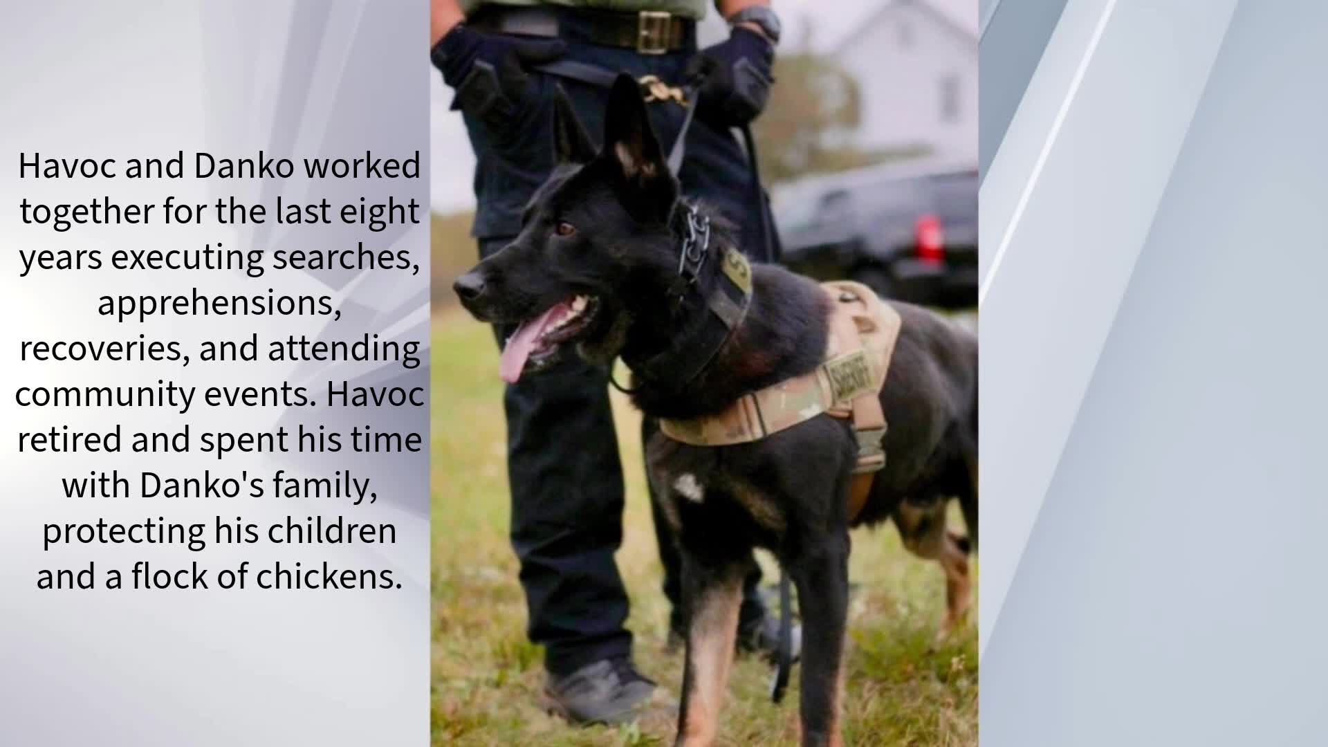 Greene County Sheriff’s Office announces death of K9 – NEWS10 ABC