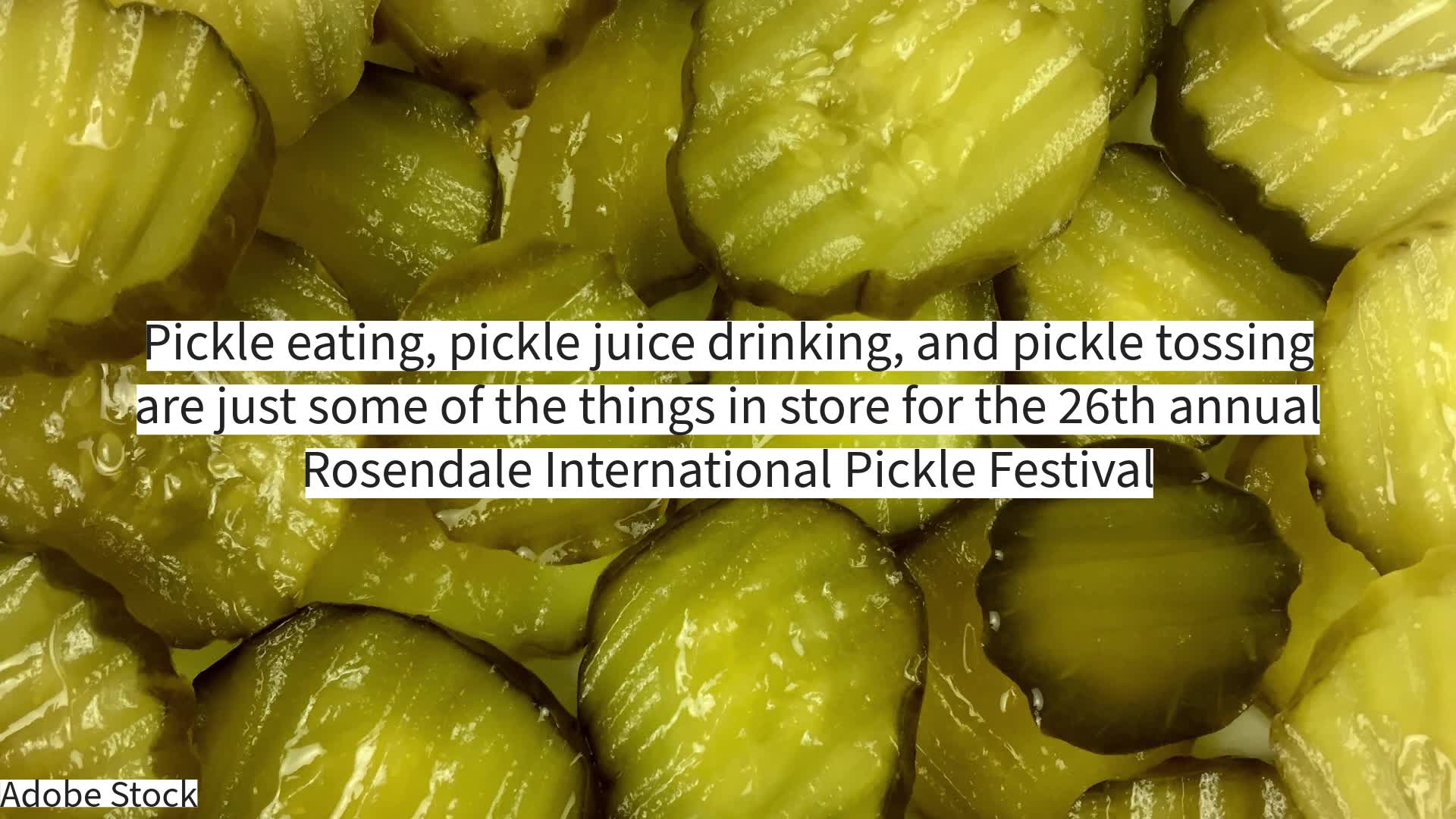Pickle triathlon? Festival celebrating pickles coming to New Paltz ...