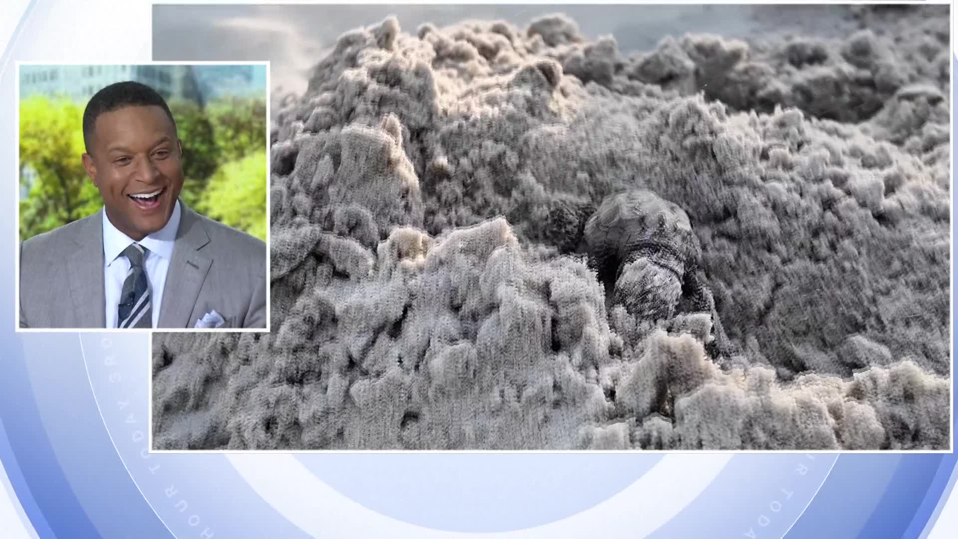 Sea turtle nest named for NBC’s Craig Melvin – WSAV-TV