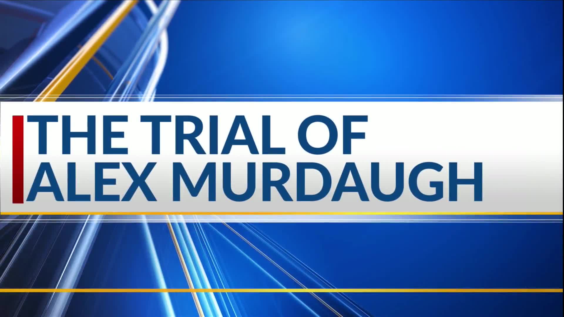 New evidence in Alex Murdaugh double murder trial – WSAV-TV