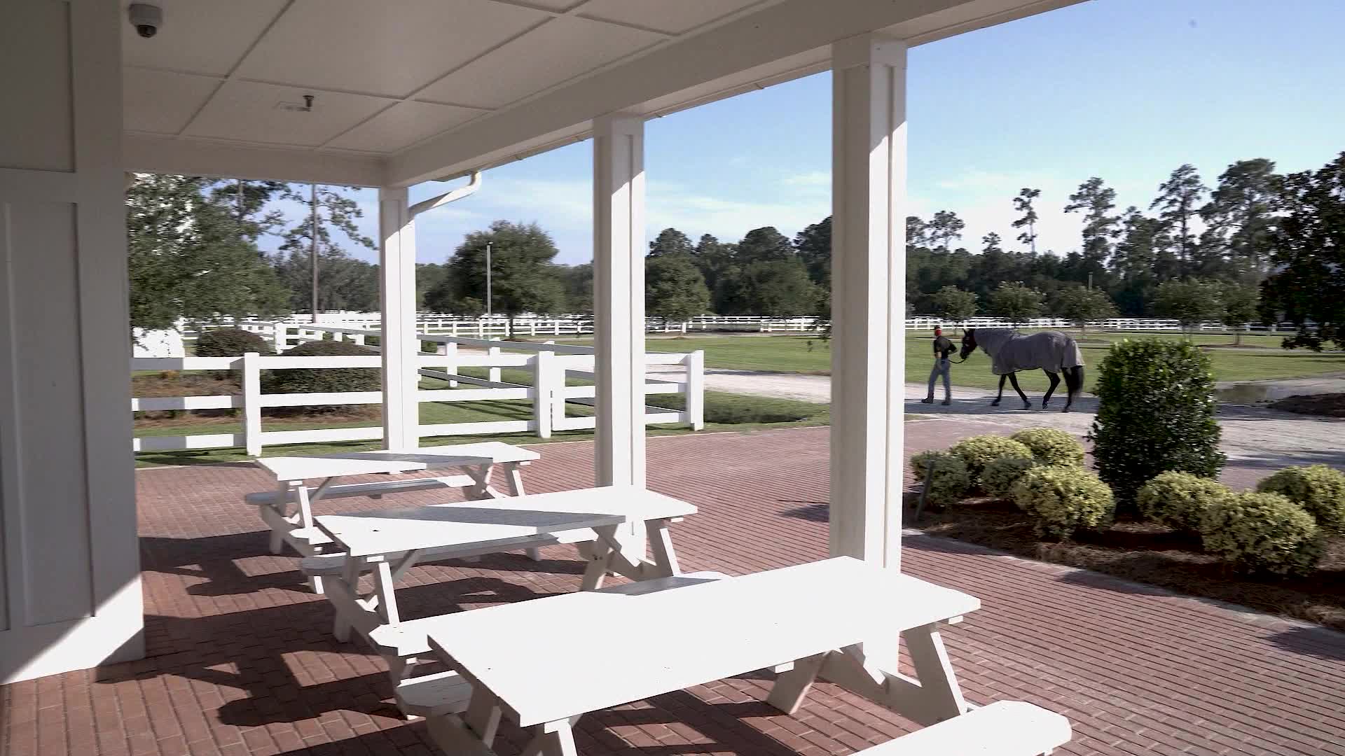 SCAD: Faith Equestrian Center – WSAV-TV