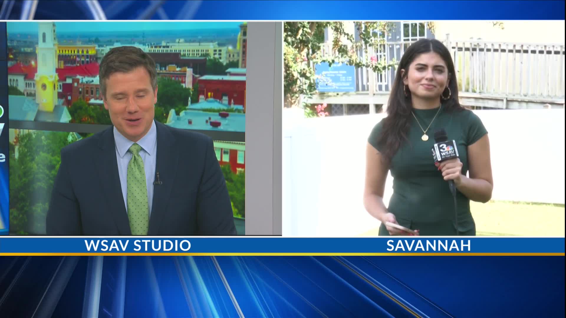 Clear the Shelters/Humane Society of Greater SAV – WSAV-TV