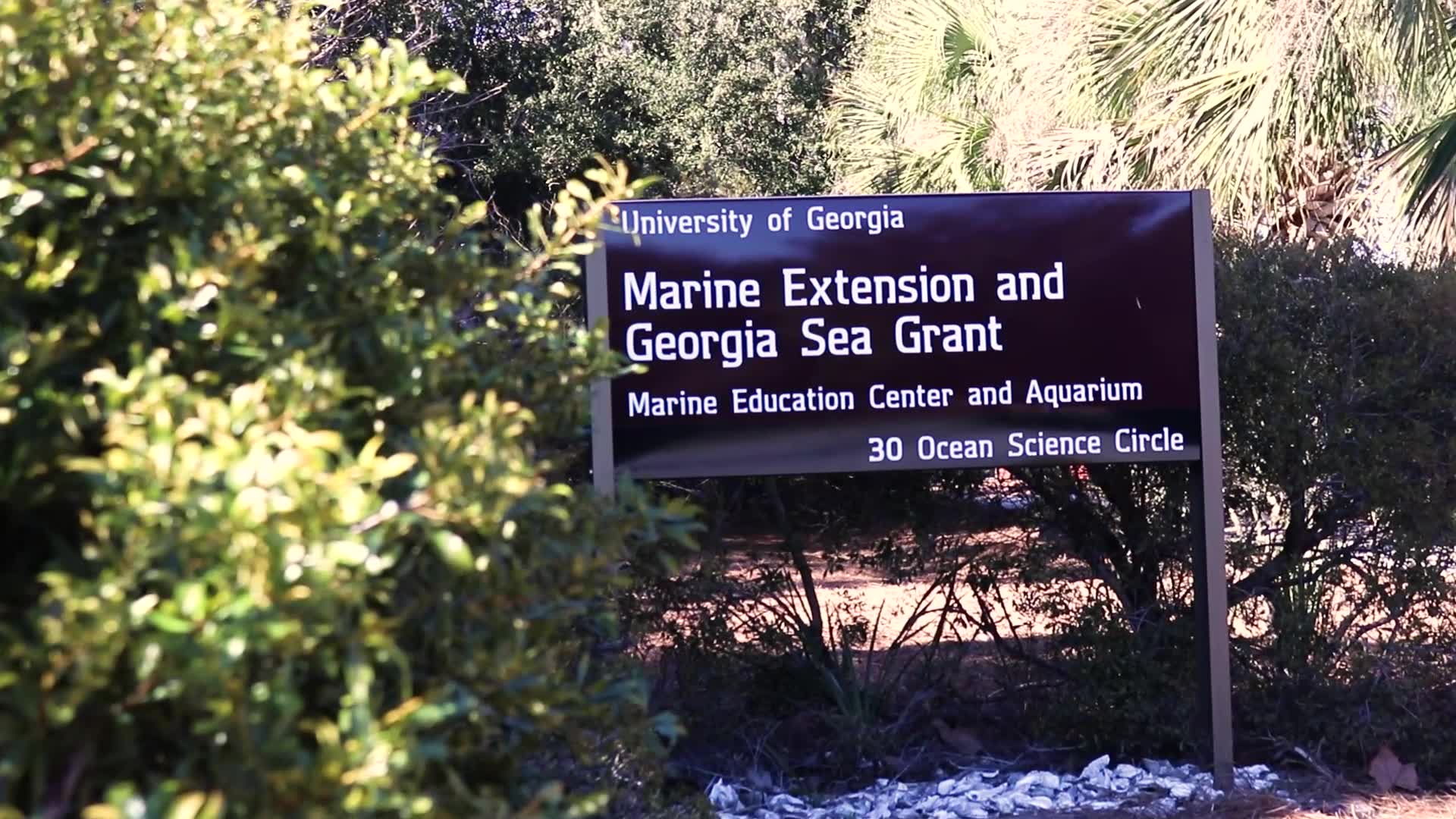 UGA Marine Education Center and Aquarium – WSAV-TV