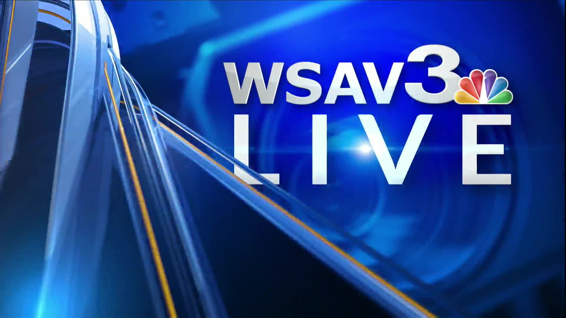 Alex Murdaugh double murder trial continues with more expert witnesses ...