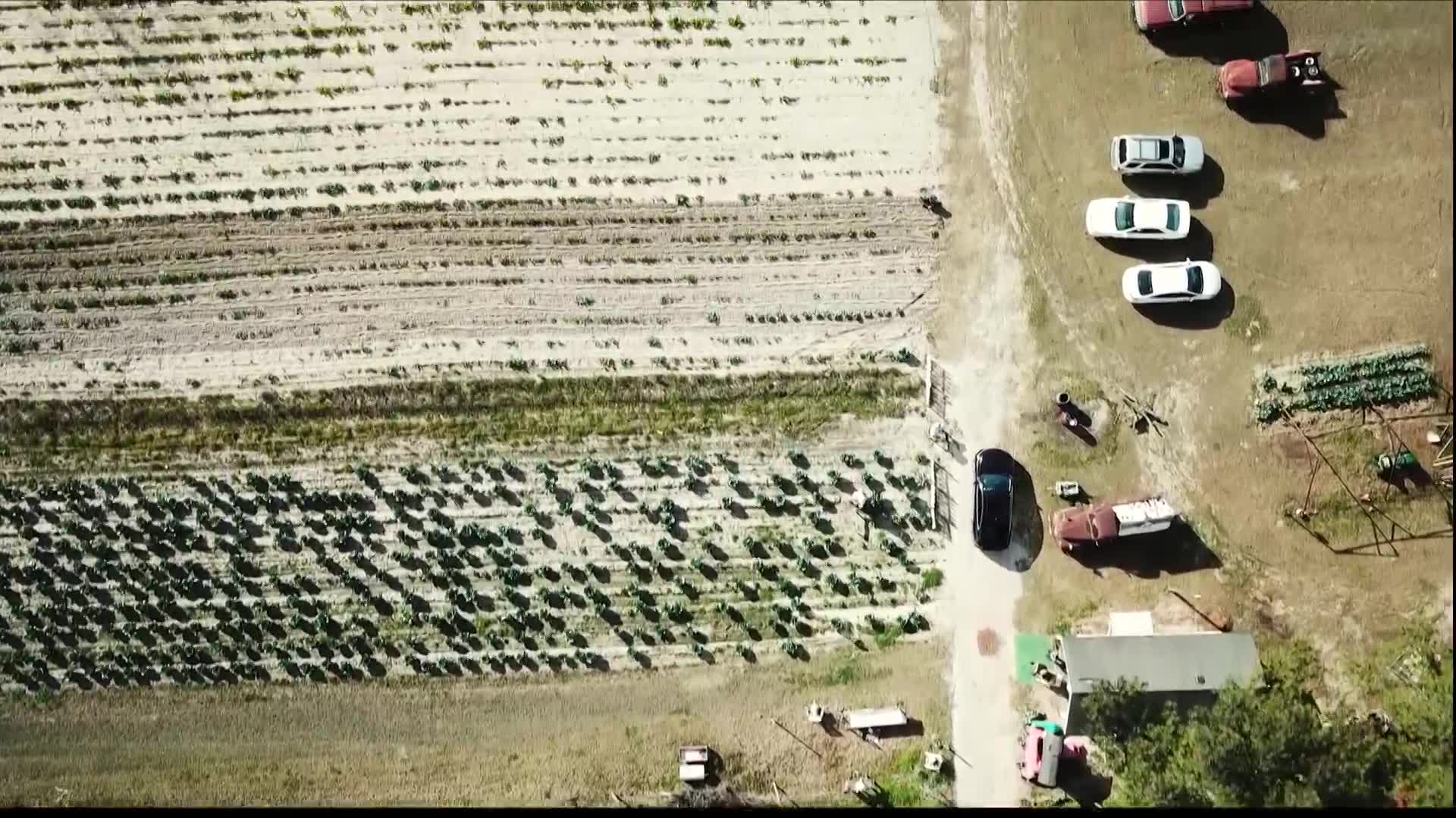 The Promised Land Farm cultivates local history – WSAV-TV