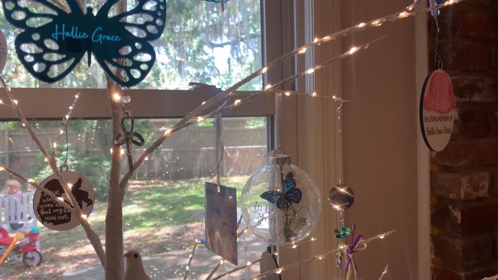 Butterfly Baby follow up introduces us to baby Evan. – WSAV-TV