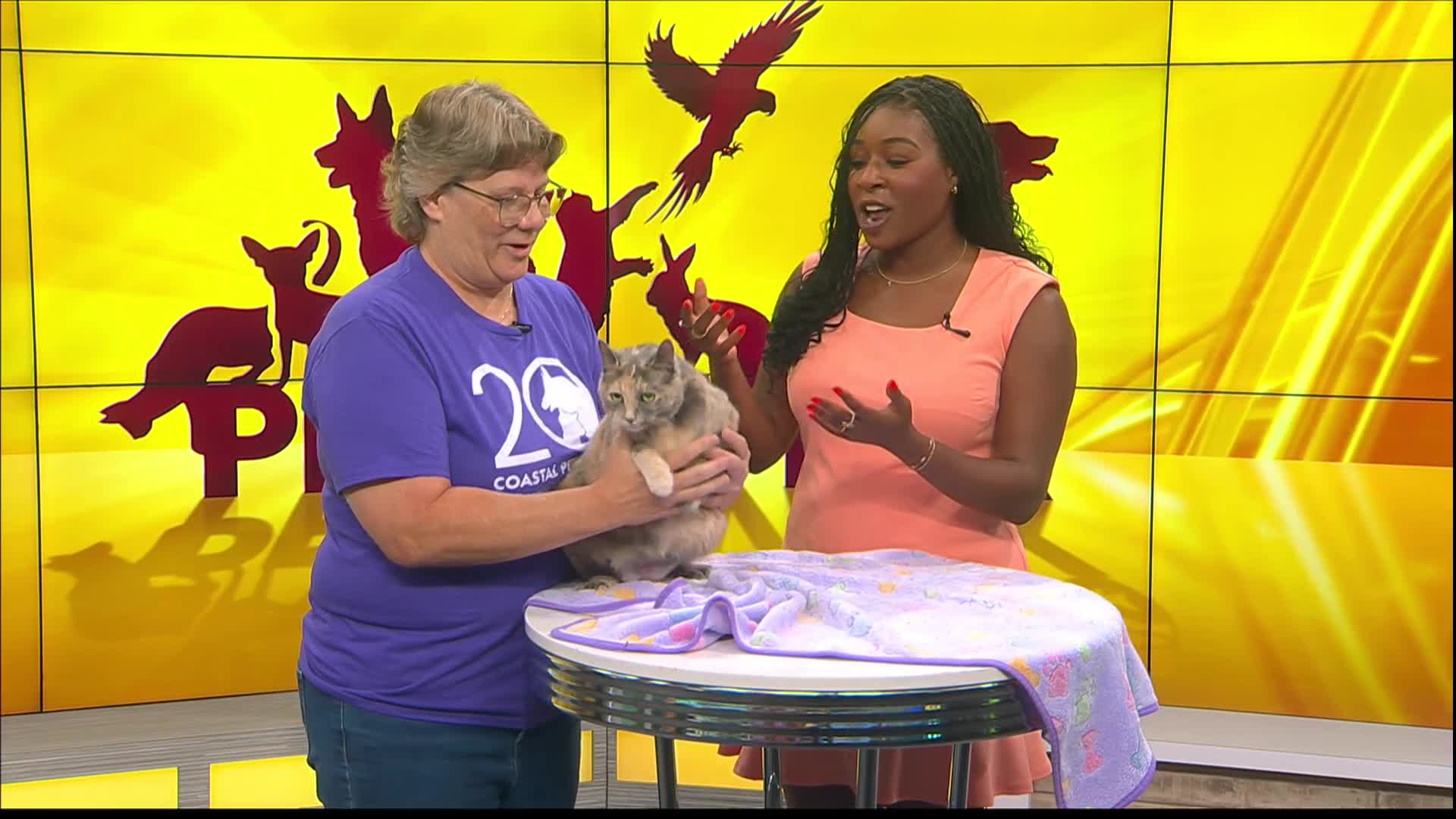 Pet of the week: Meet Jackie – WSAV-TV