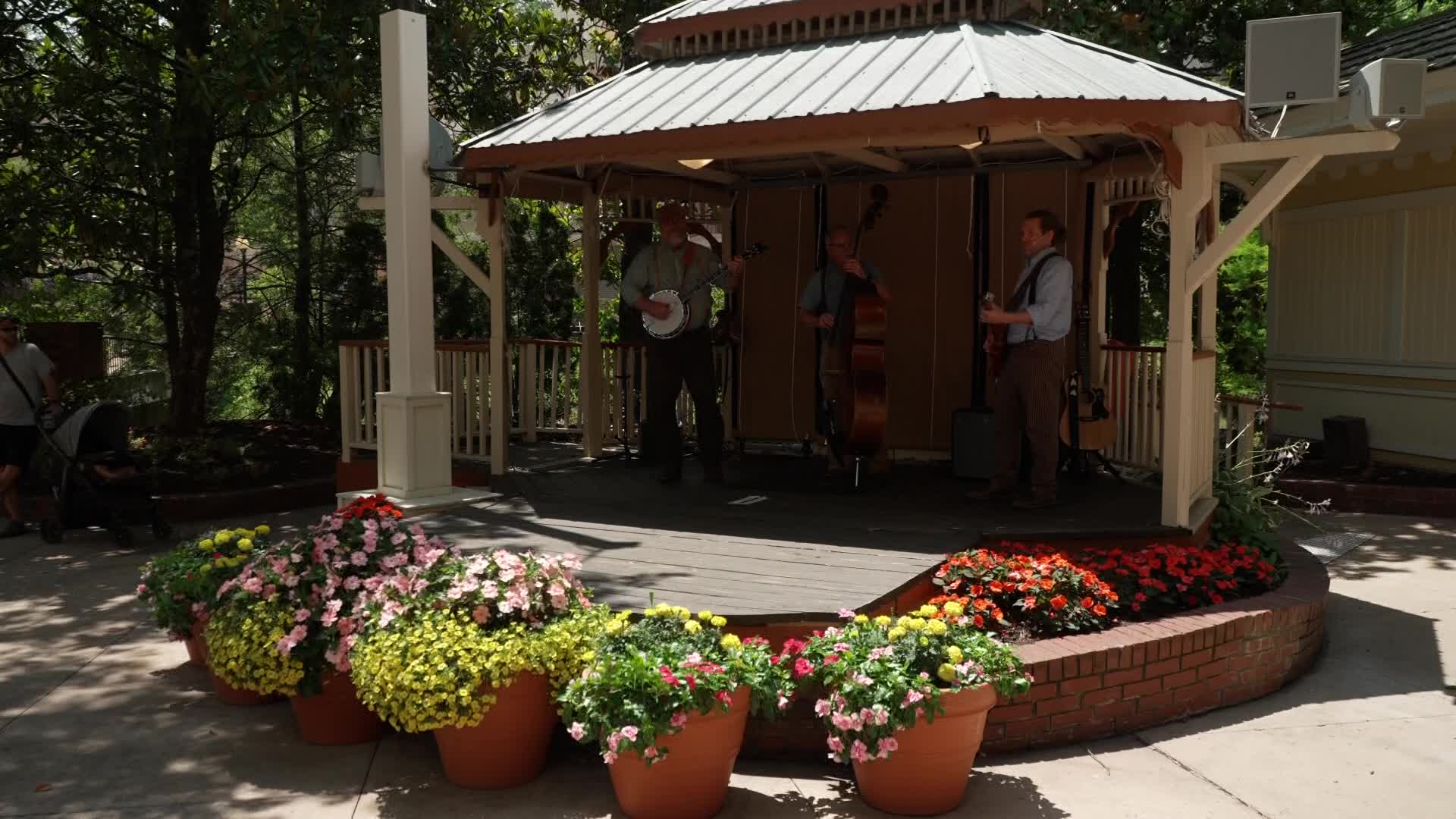 Dollywood turns 40 – WSAV-TV